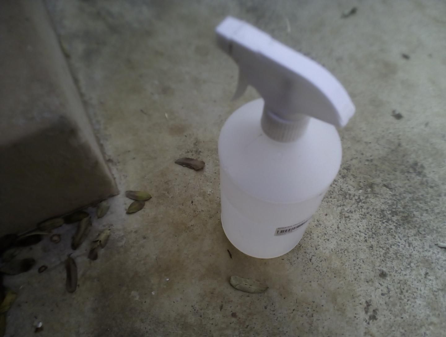 Mini Wormery (easy) : 6 Steps - Instructables