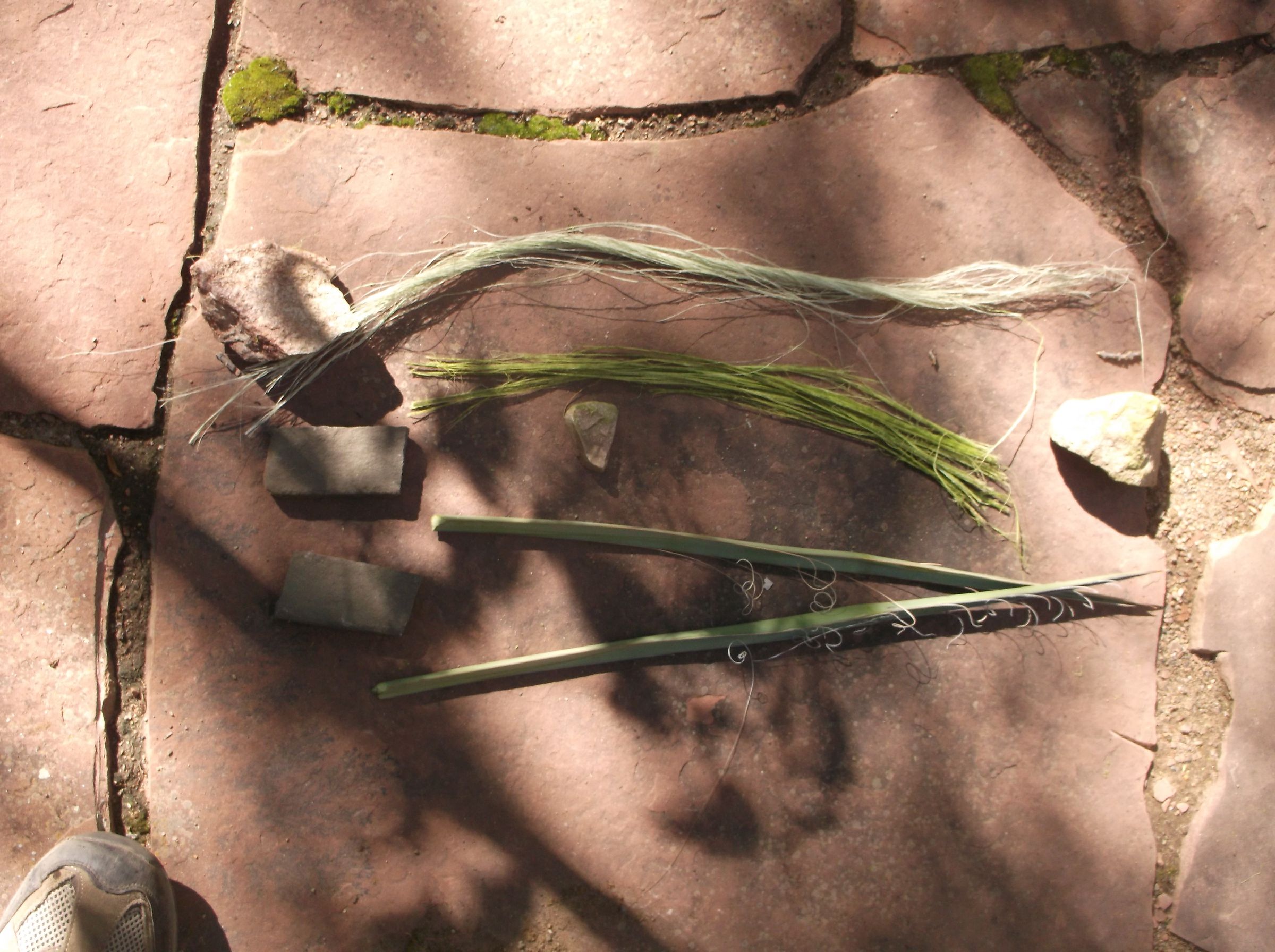 Processing Yucca Fibre With Primitive Tools : 6 Steps (with Pictures ...