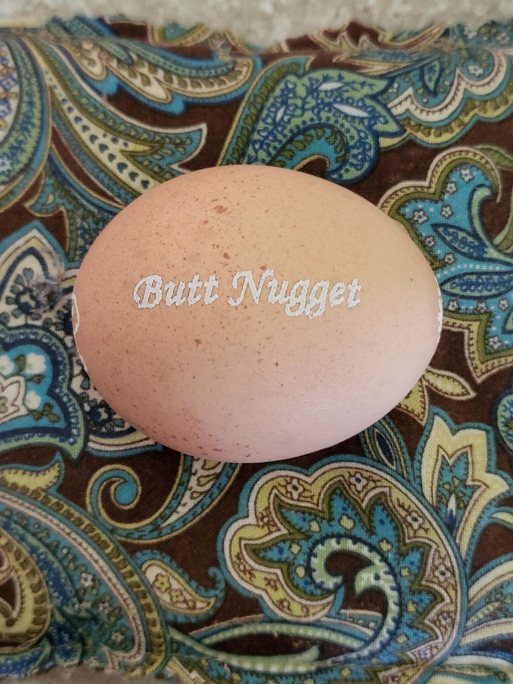 Laser-engraved Eggs : 5 Steps - Instructables