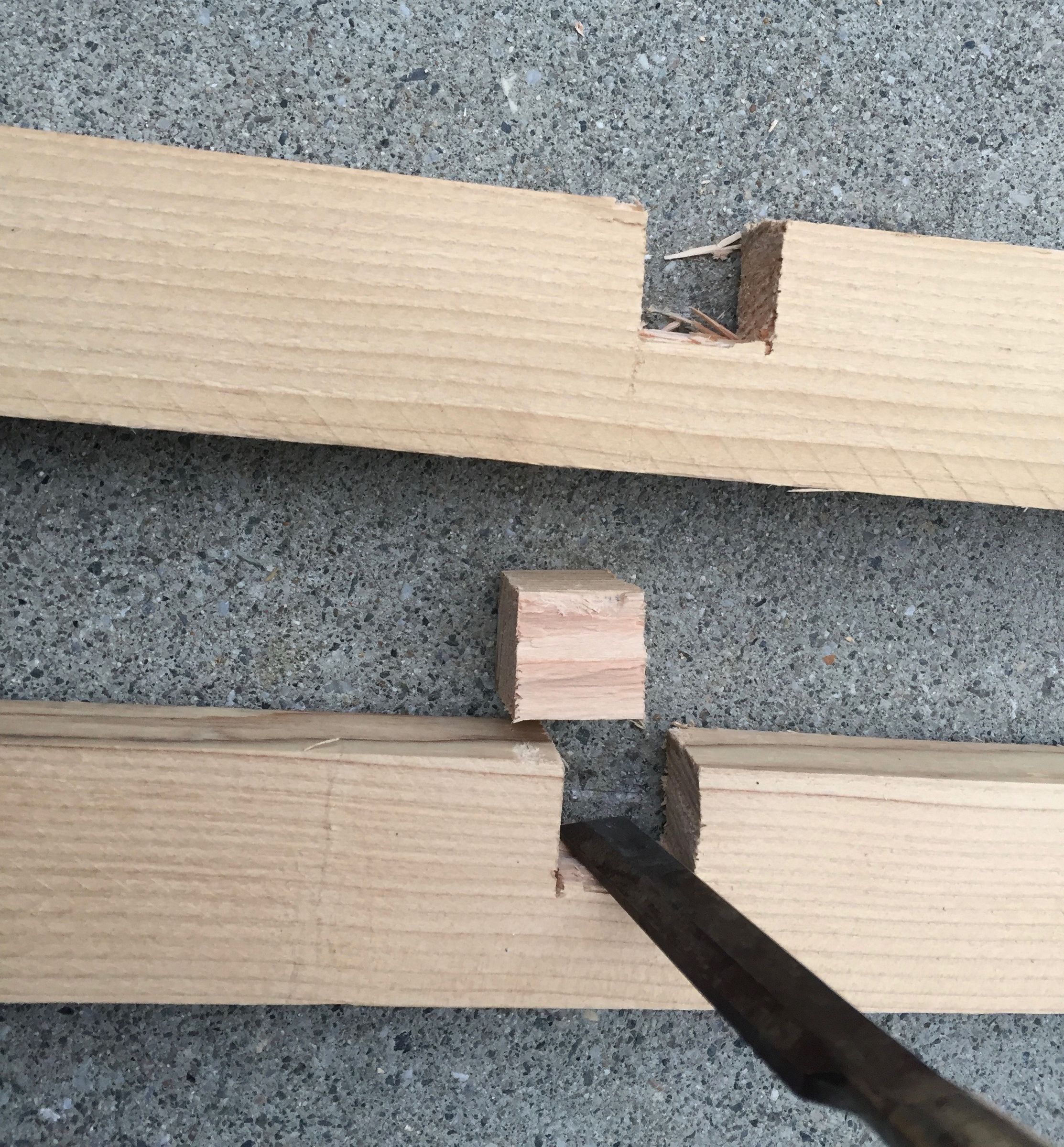 Fruit Tree Cage : 8 Steps (with Pictures) - Instructables