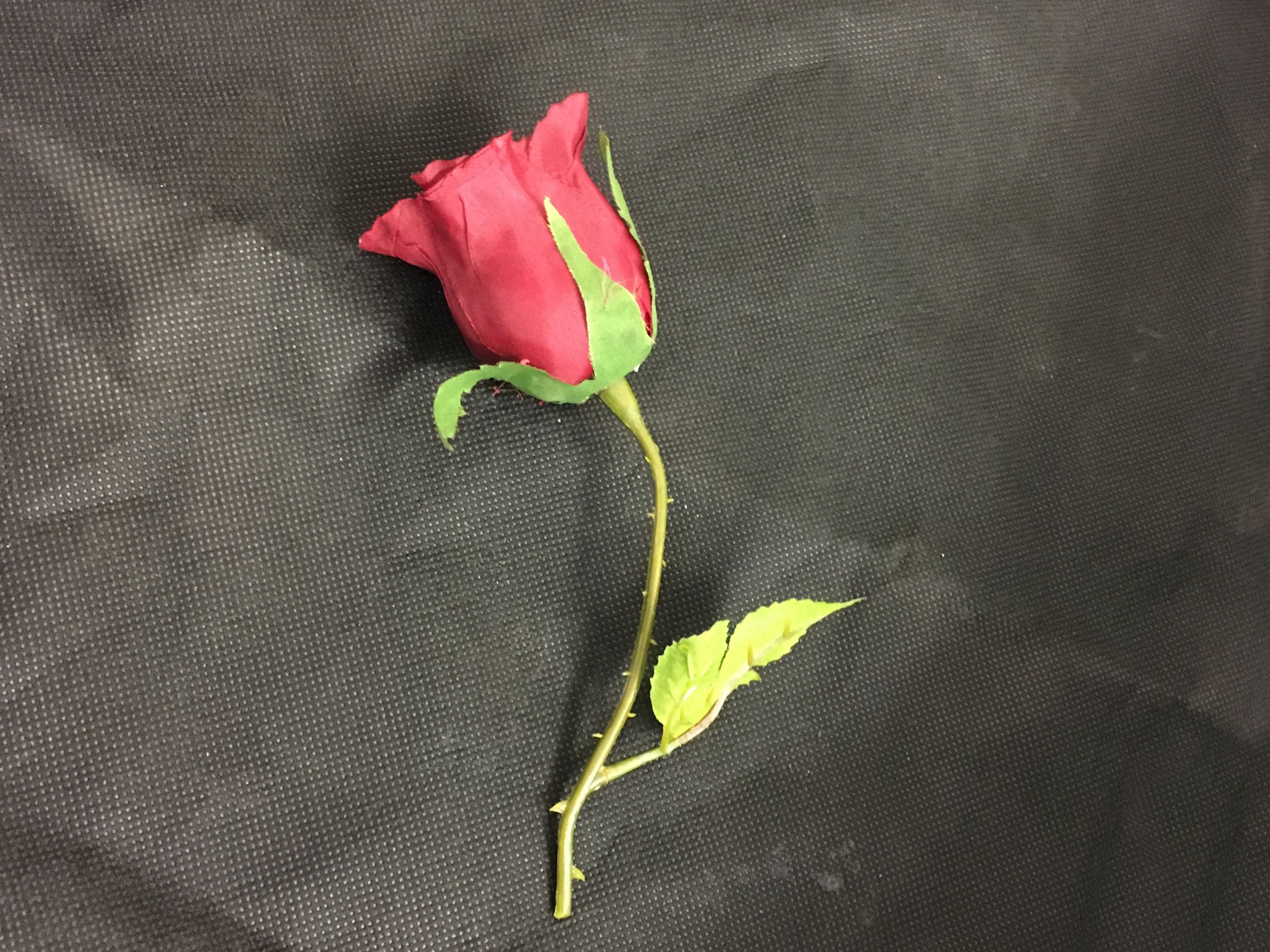 Enchanted Rose - Beauty and the Beast : 6 Steps (with Pictures ...