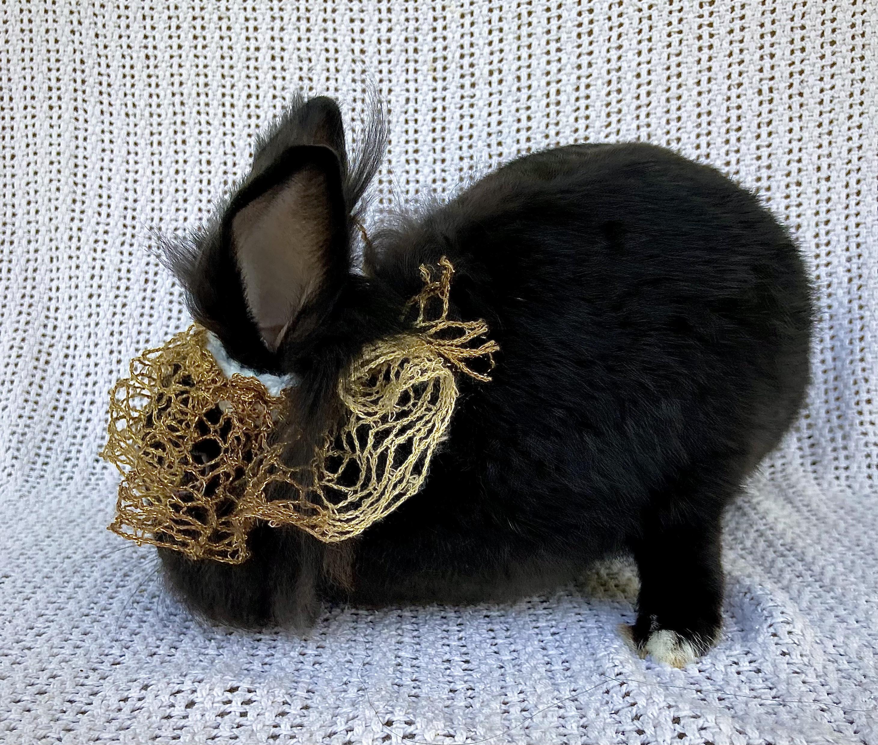 A Basic Guide to Bunny Hats : 5 Steps (with Pictures) - Instructables