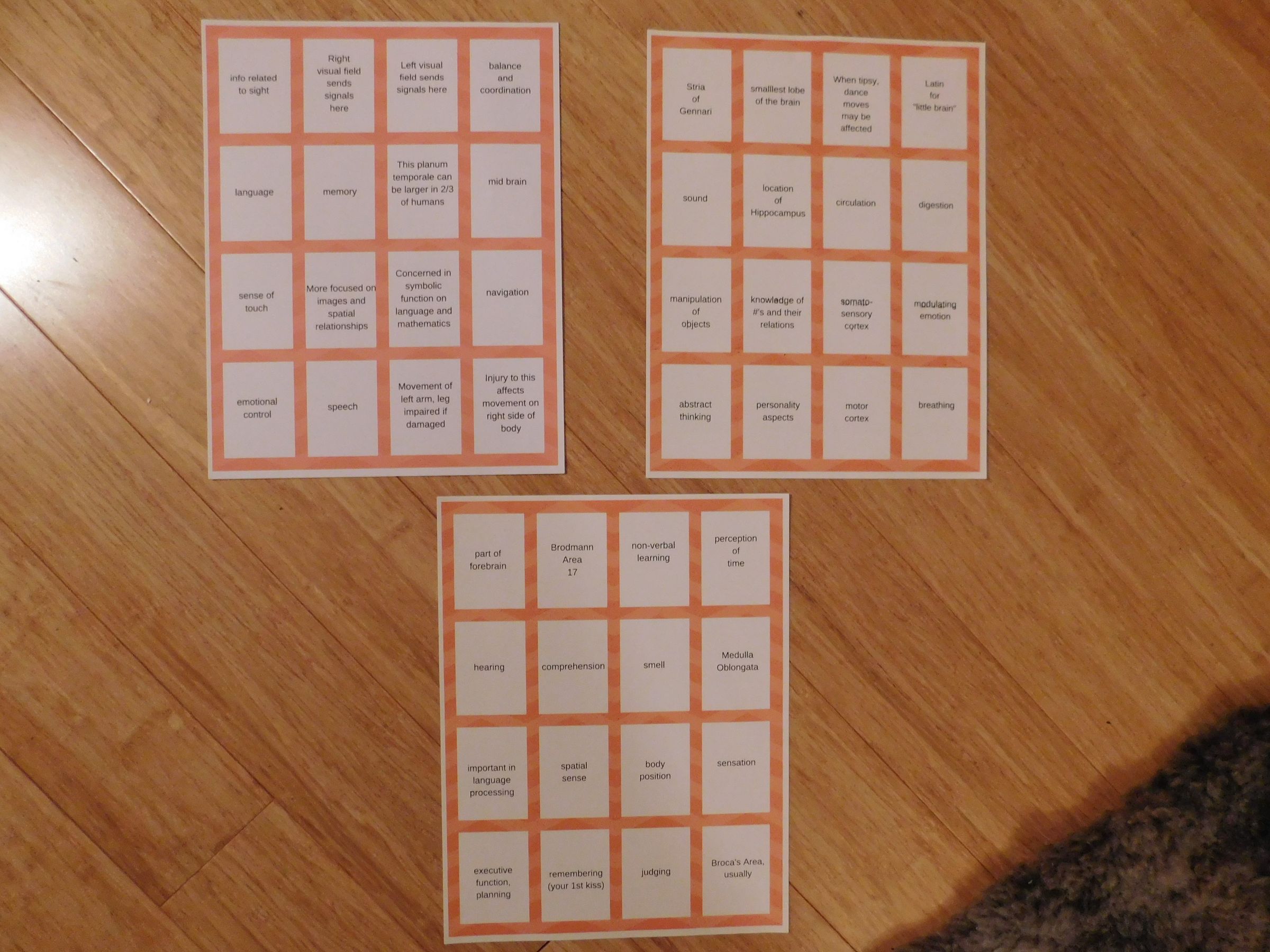 The Brain Game! : 9 Steps (with Pictures) - Instructables