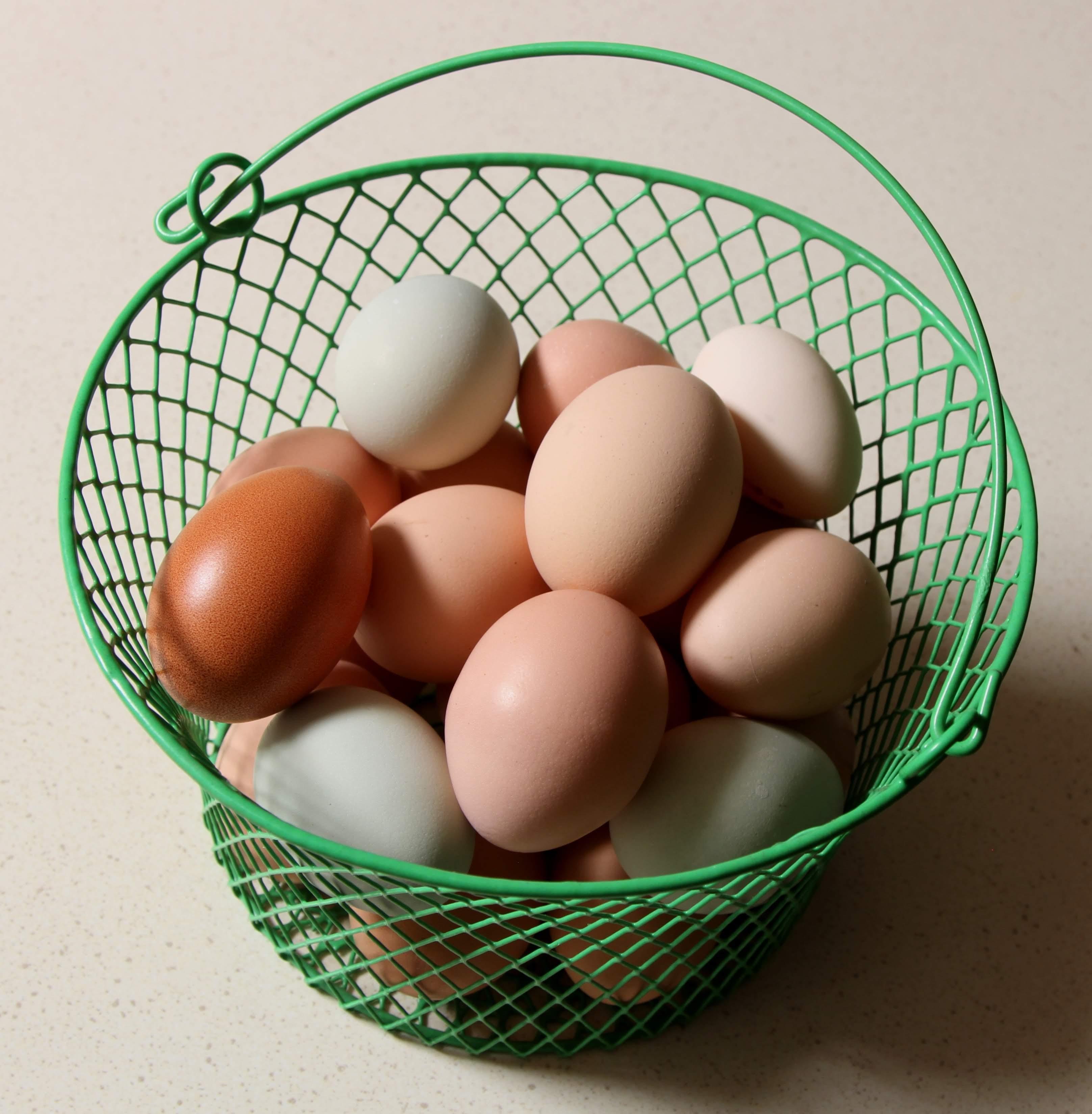 Laser-engraved Eggs : 5 Steps - Instructables