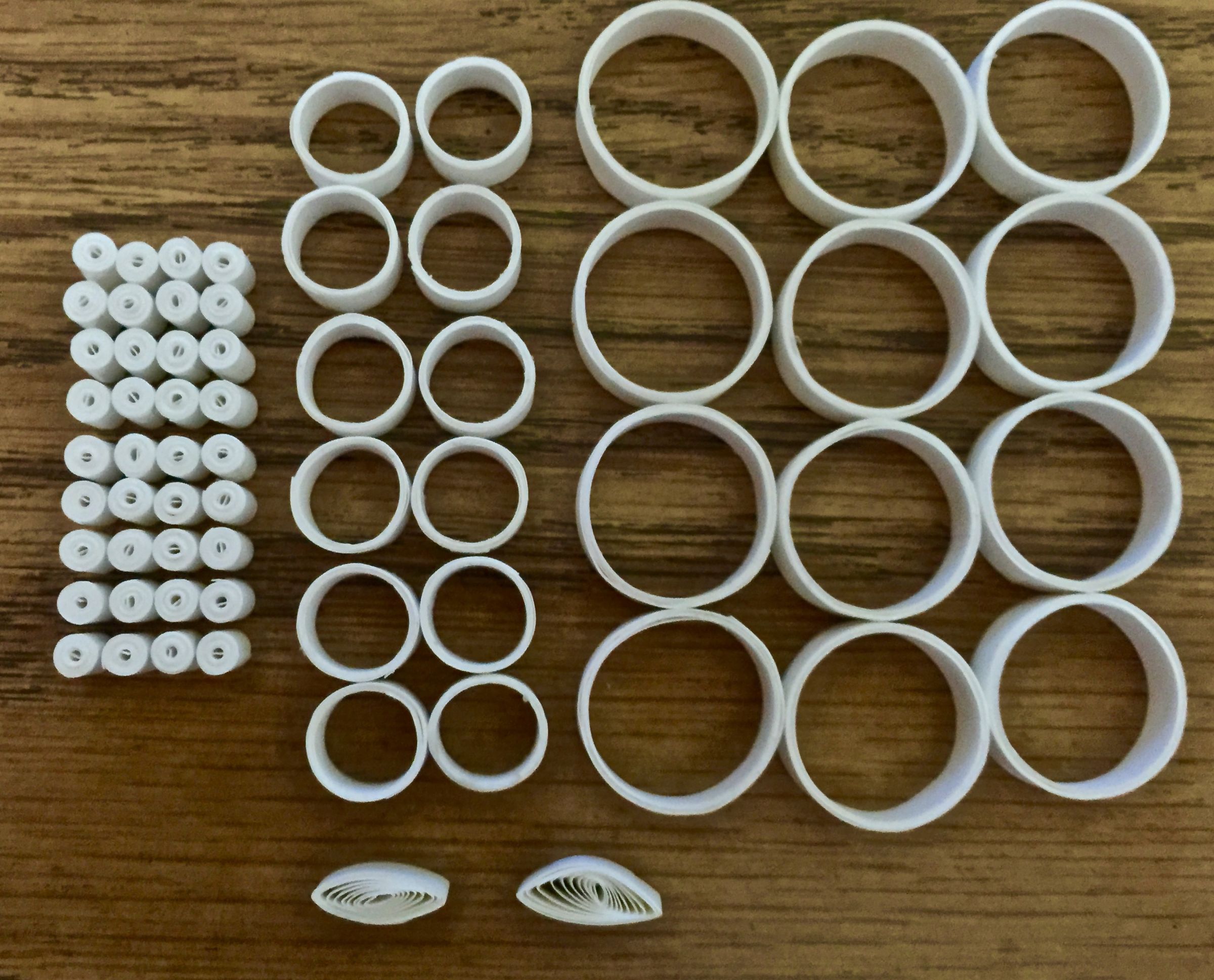 Quilled Paper Dandelion Poof : 19 Steps (with Pictures) - Instructables