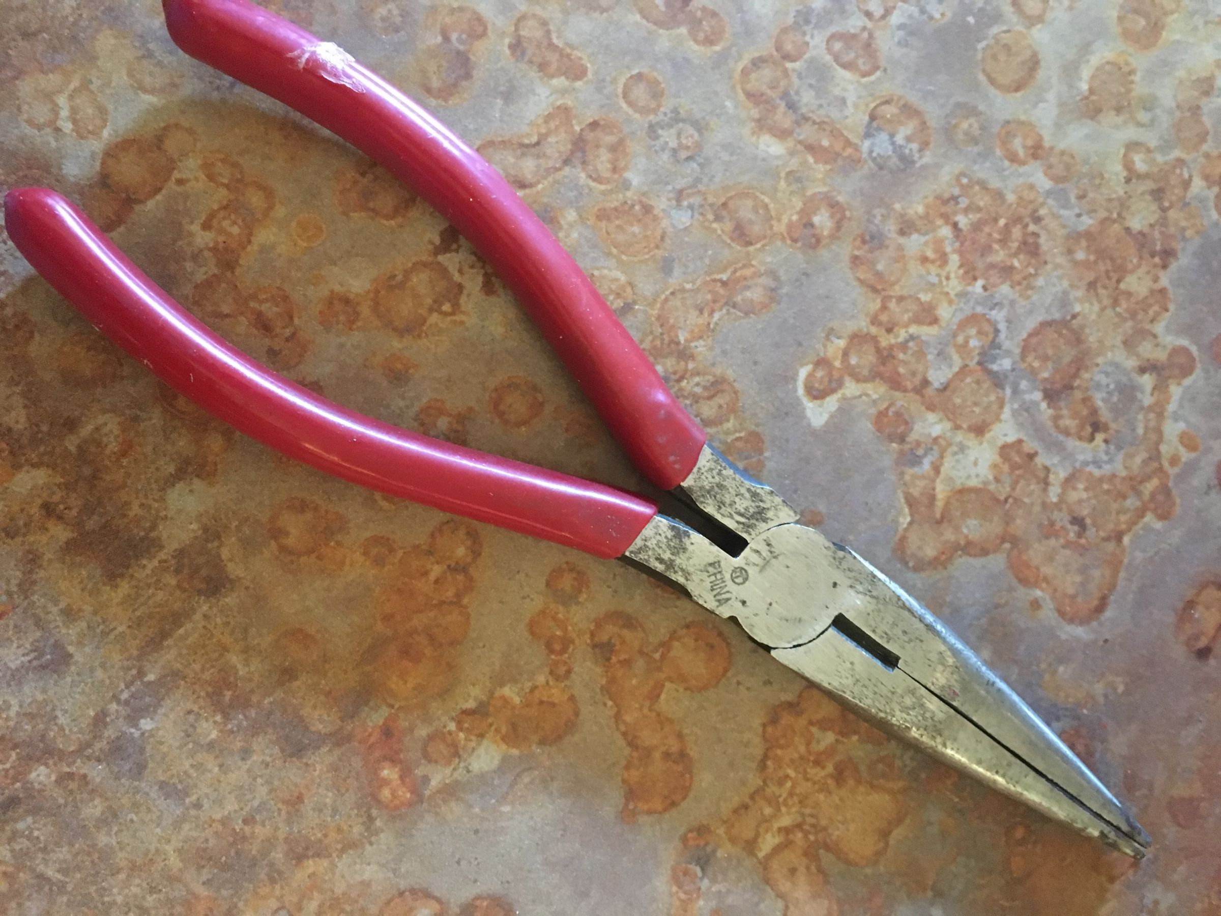 DIY Doggie Septic System With Natural Starter : 14 Steps (with Pictures ...