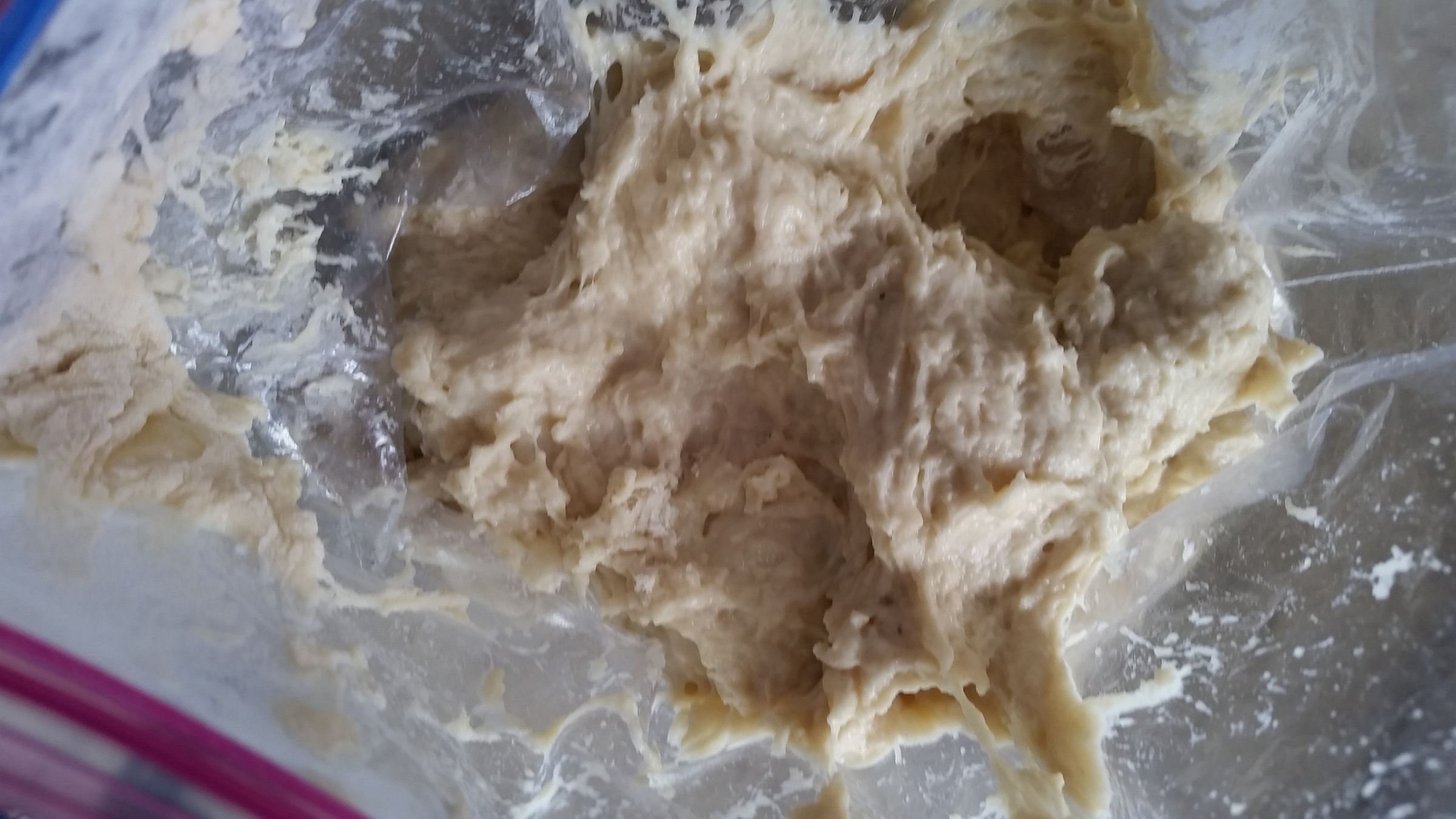 Bread in a Bag in 4 Easy Steps : 4 Steps (with Pictures) - Instructables