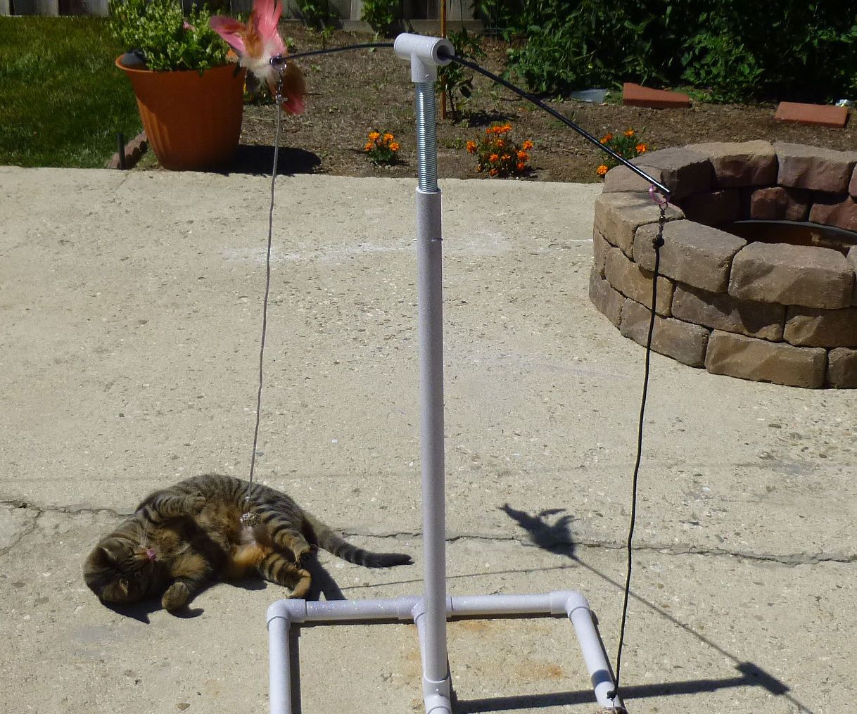 Cat Spring 'n Swing : 12 Steps (with Pictures) - Instructables