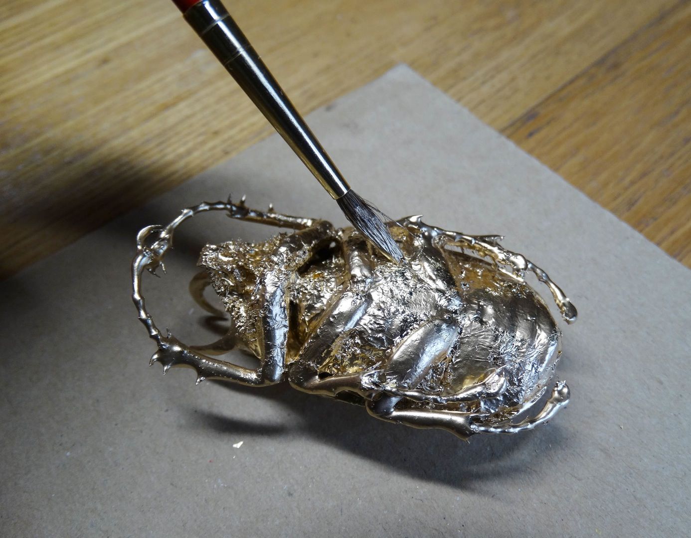 Preparing and Gilding a Real Insect : 10 Steps (with Pictures ...