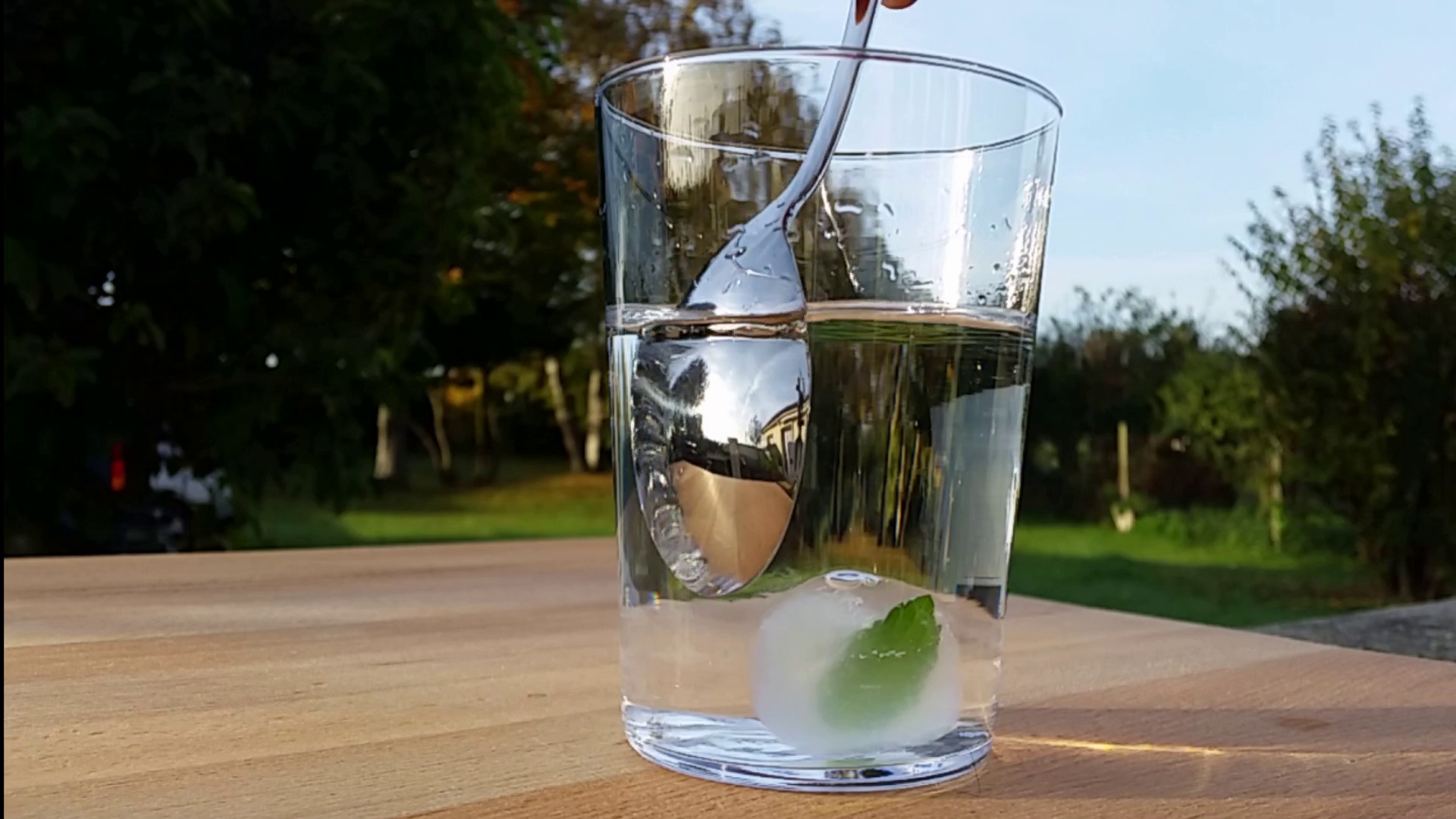 Molecular Mojito Cocktail - Inverse Spherification : 6 Steps (with ...