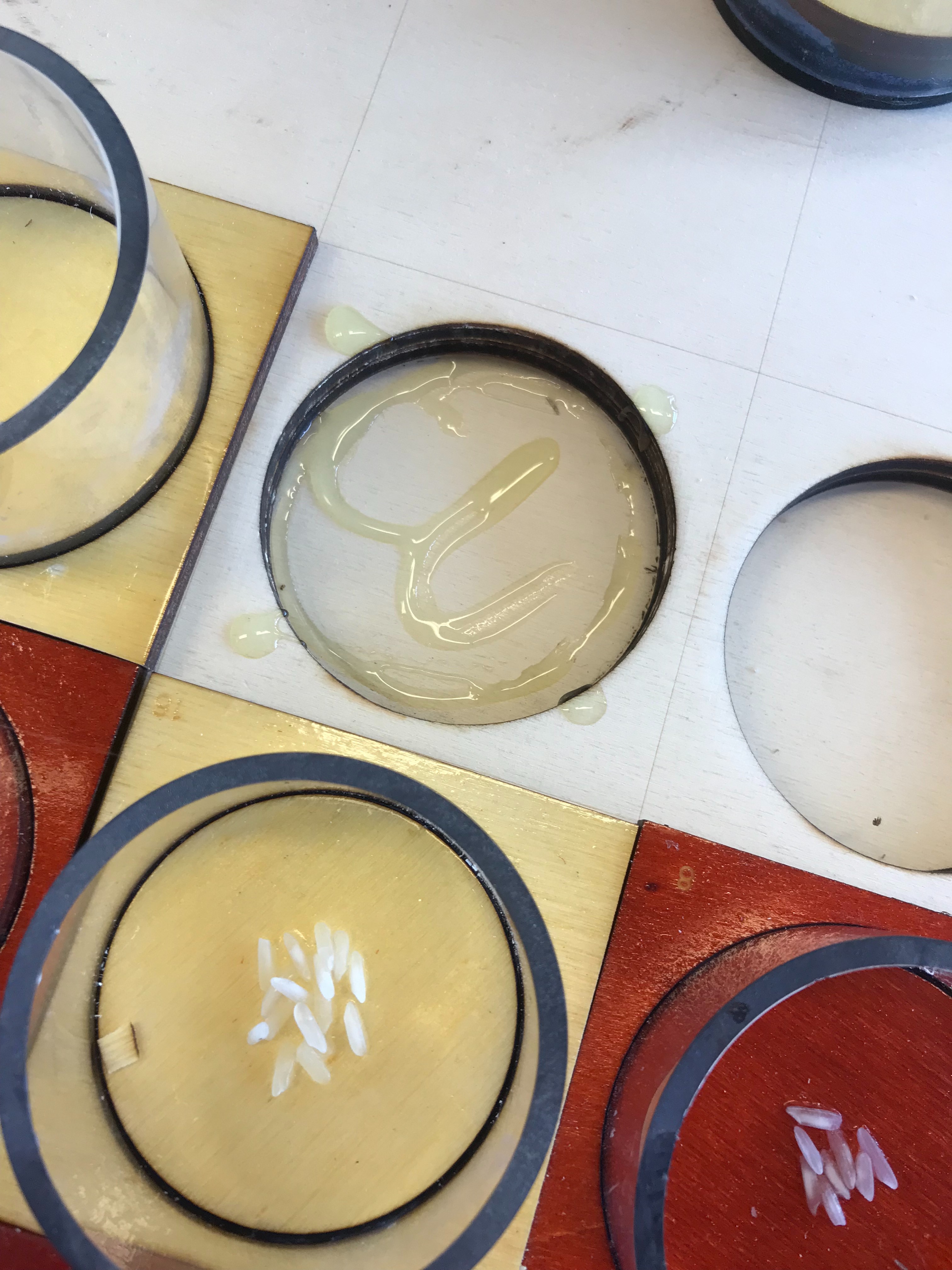 Chess Board With Rice: Exponential Growth : 11 Steps (with Pictures ...