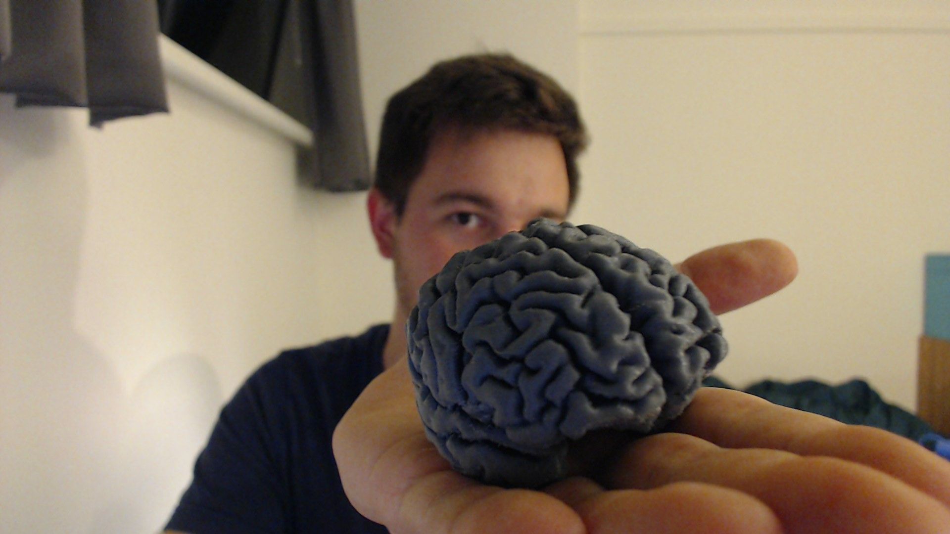3D Print Your Own Brain : 5 Steps (with Pictures) - Instructables