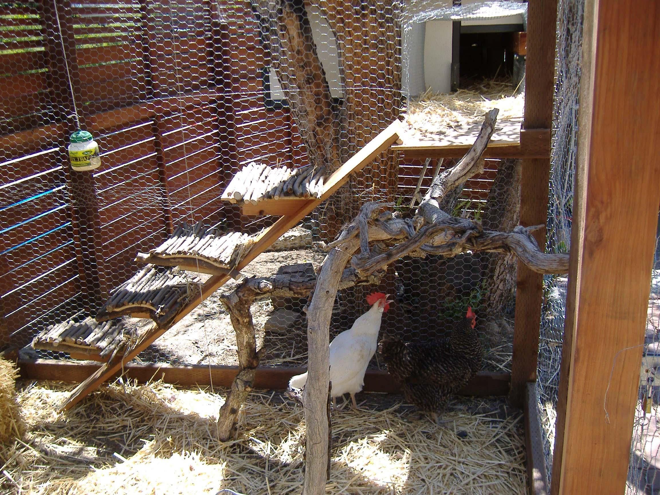 Half Timbered Thatched Roof Chicken Coop Treehouse : 4 Steps (with ...