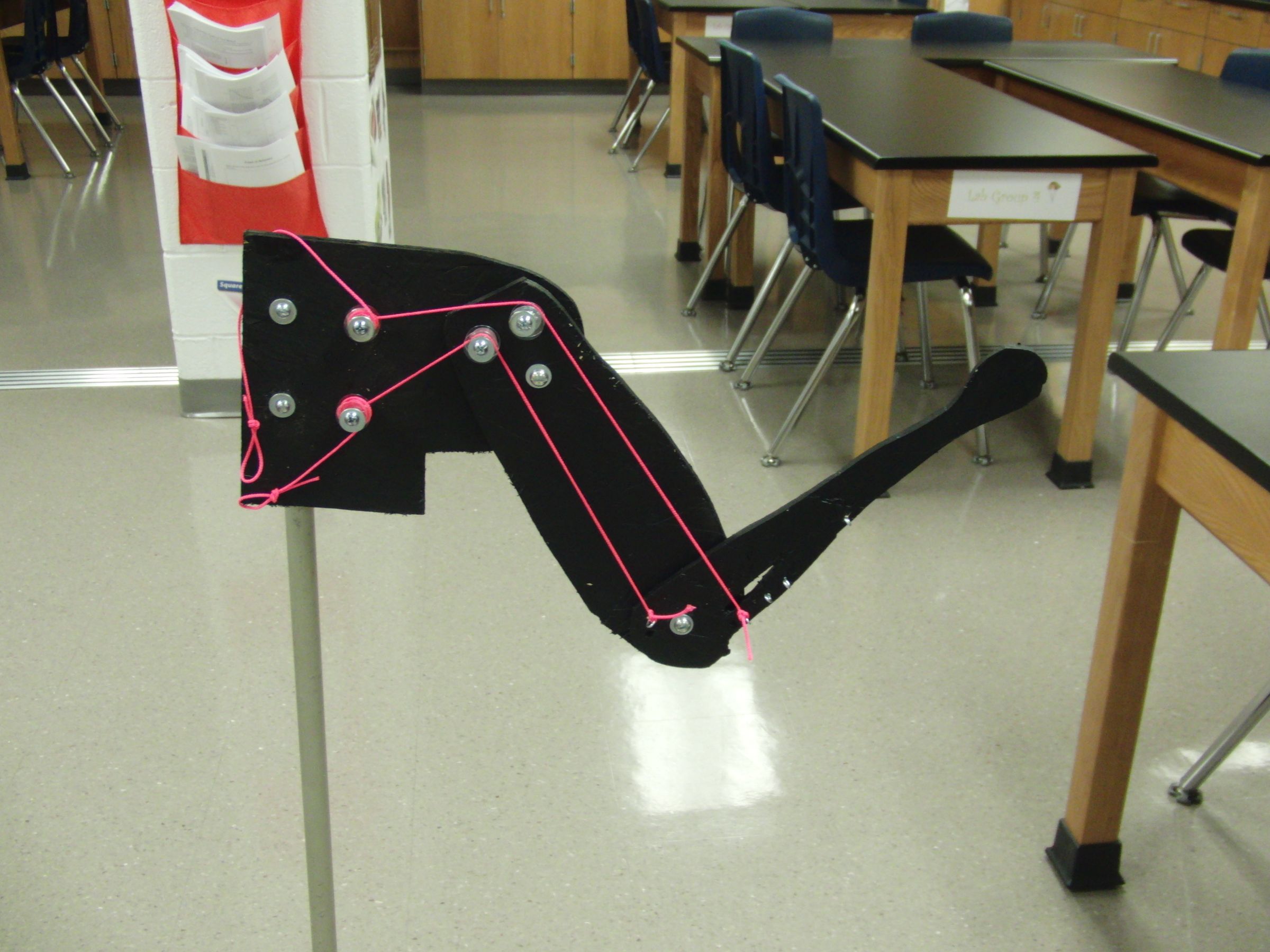 Human Arm Model : 13 Steps (with Pictures) - Instructables