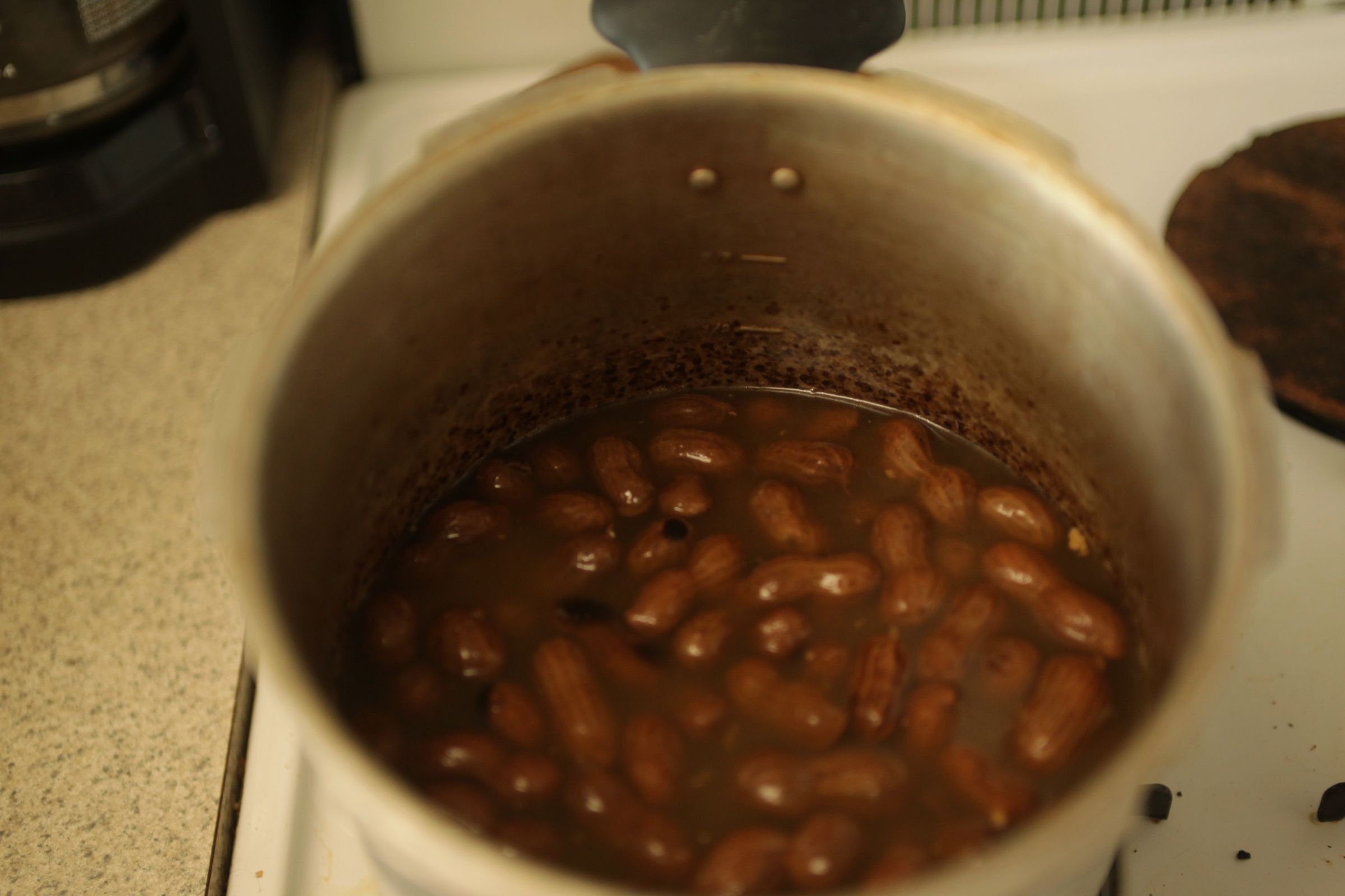 Florida Boiled Peanuts : 5 Steps (with Pictures) - Instructables