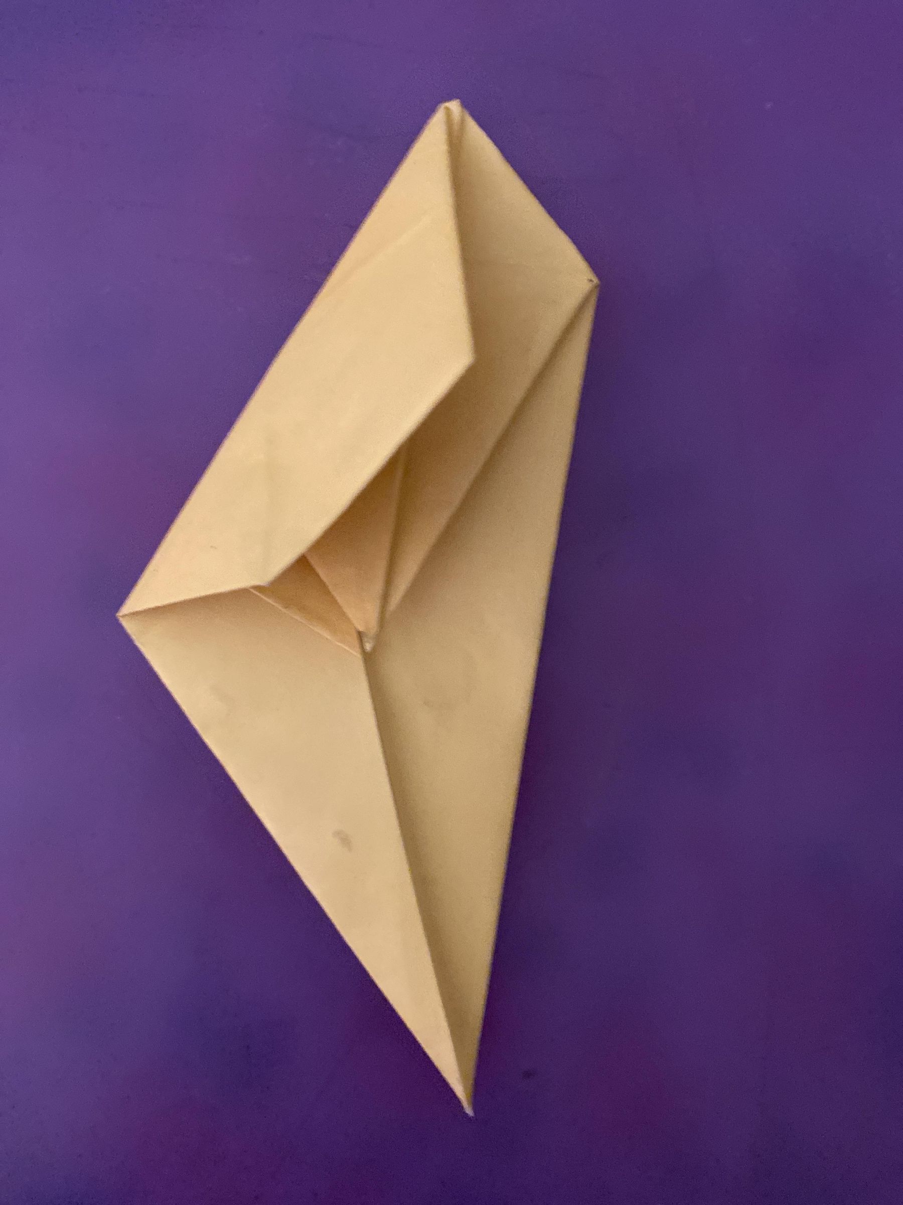 Origami Rat : 27 Steps - Instructables