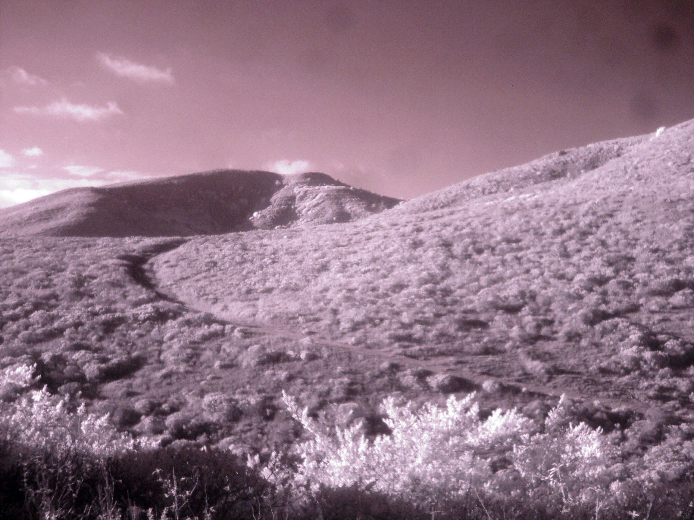 Infrared Digital Camera - the Real Way : 8 Steps (with Pictures ...