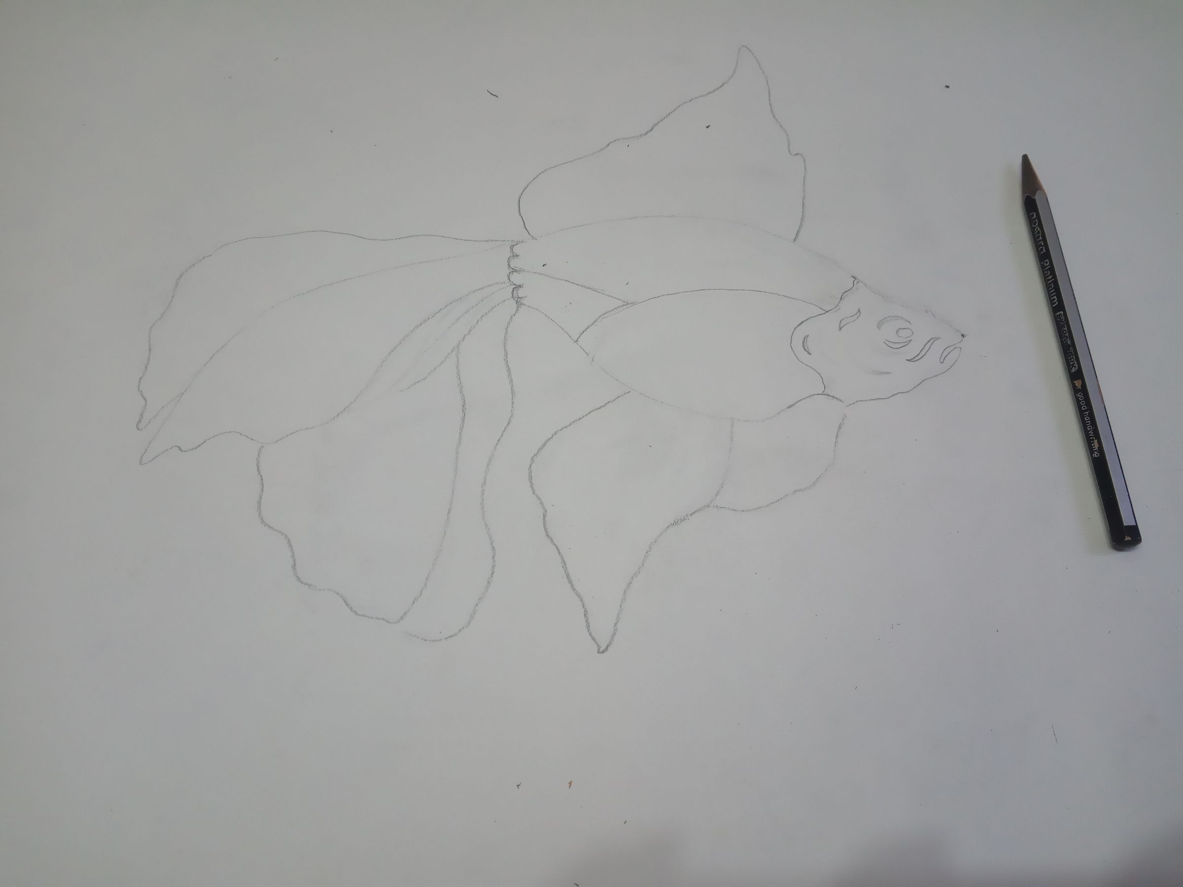 PaperCut- Fish : 3 Steps (with Pictures) - Instructables