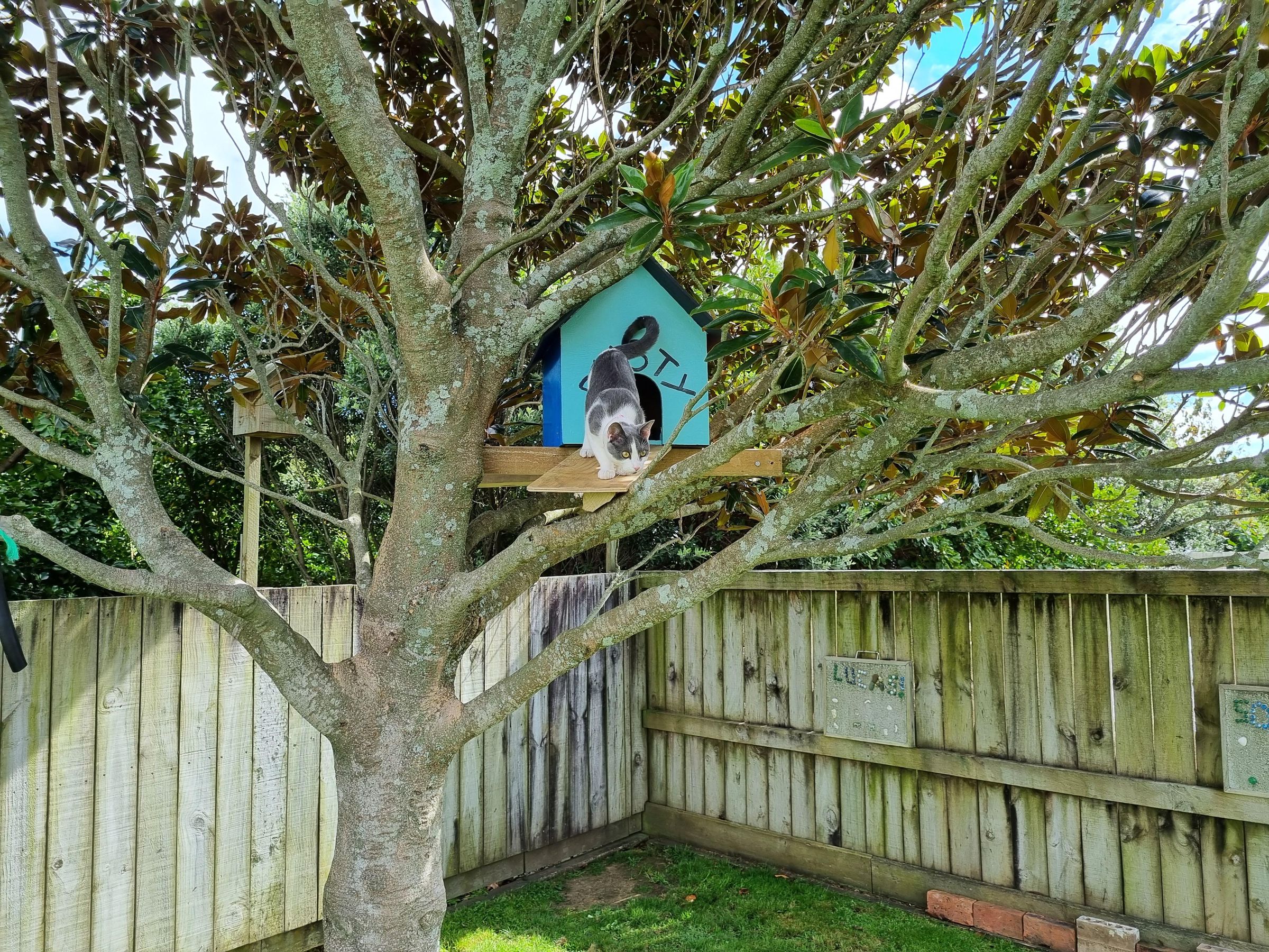 Cat Treehouse : 5 Steps (with Pictures) - Instructables