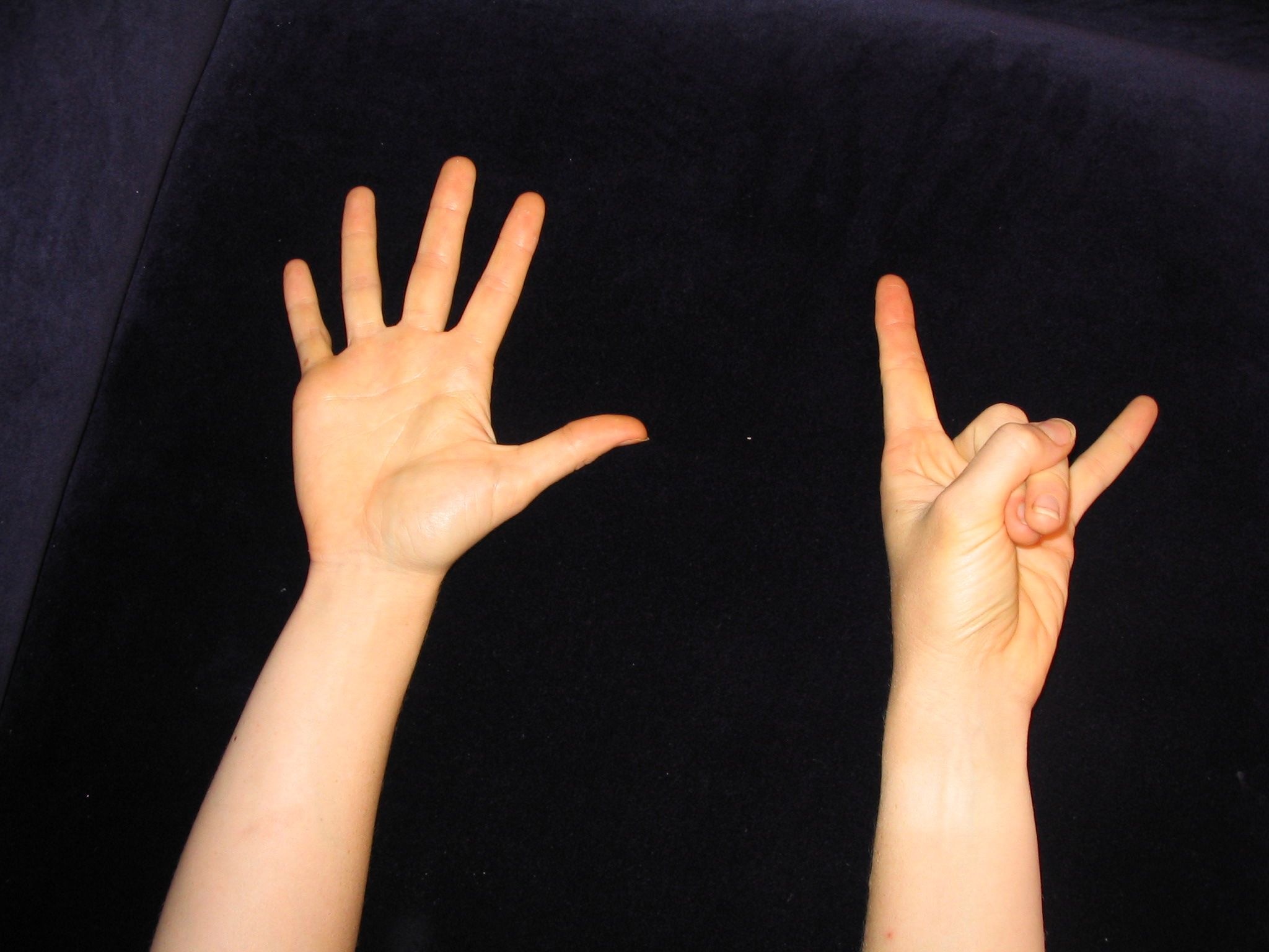 Mouse Toe Numbering Scheme : 5 Steps - Instructables