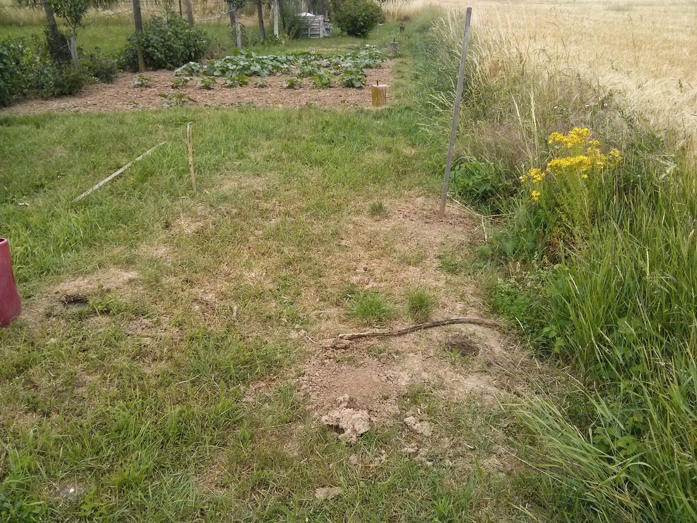 Simple Shelter : 4 Steps (with Pictures) - Instructables