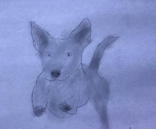 How to Draw an Advanced Dog : 4 Steps - Instructables