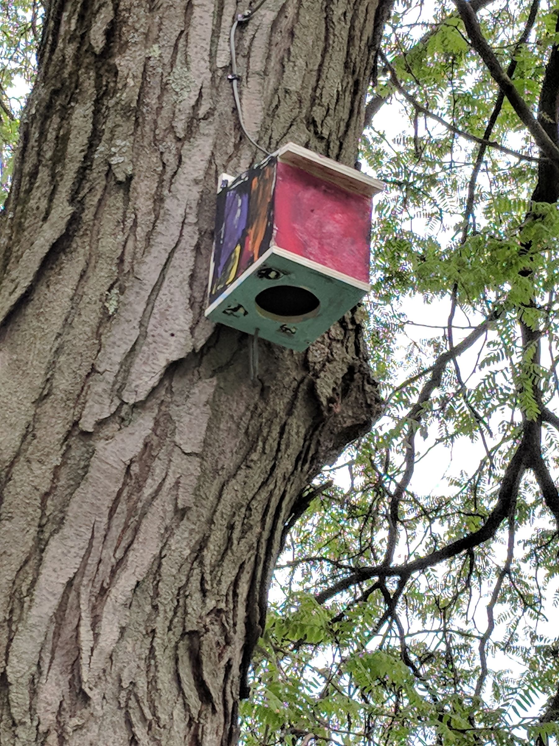 Bird House Speakers : 5 Steps - Instructables