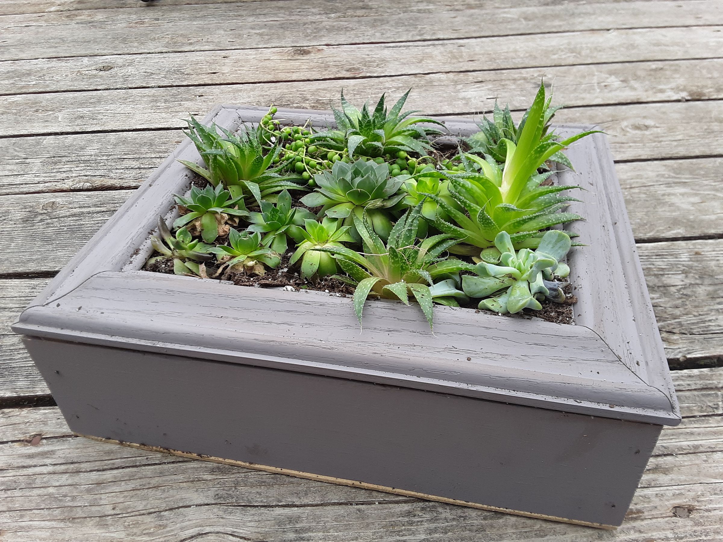 Living Picture Frame : 9 Steps (with Pictures) - Instructables