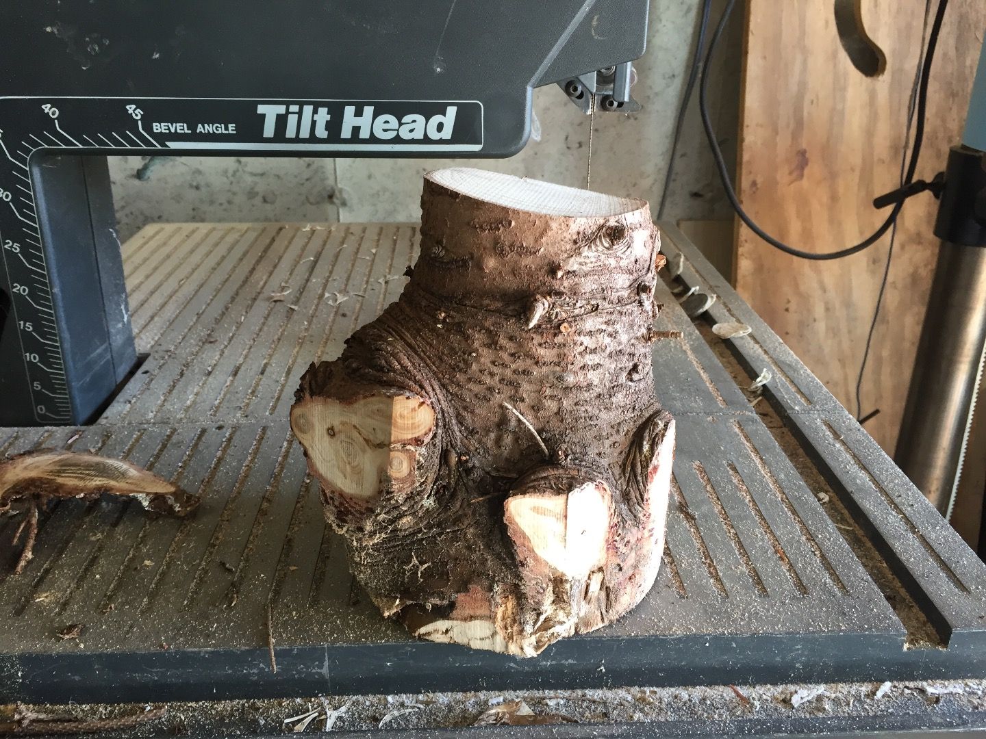 Bandsaw Box From Christmas Tree : 7 Steps - Instructables