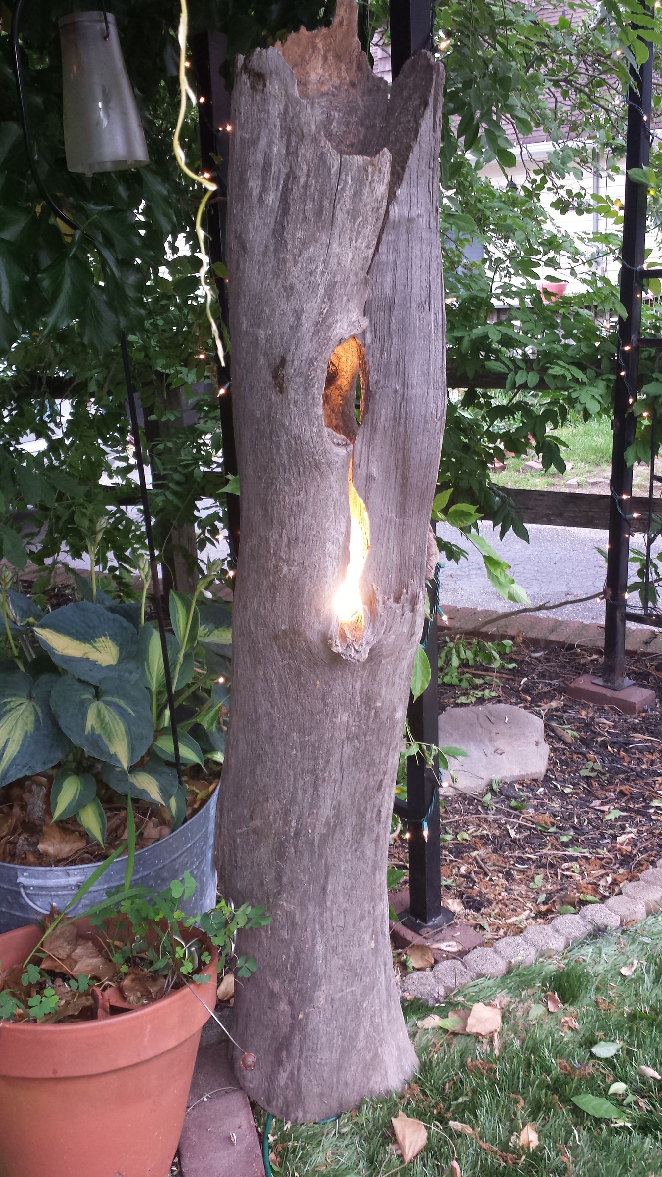 Tree Limb Accent Light : 6 Steps - Instructables