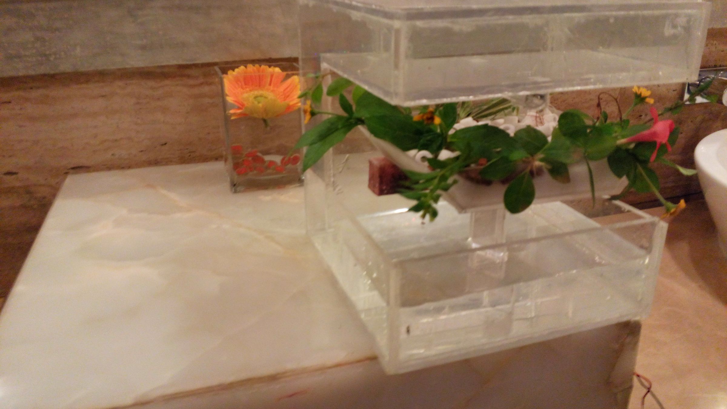 IAquaDesk - IoT Enabled Aquaponics Using Intel Galileo(Intel IoT) : 3 ...