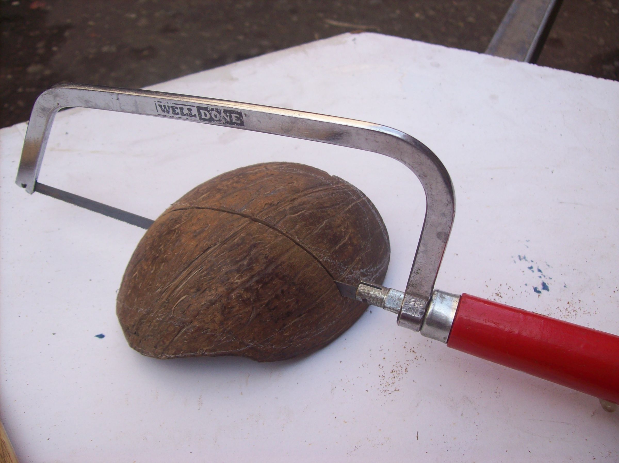 Coconut Hair Clip. : 5 Steps (with Pictures) - Instructables