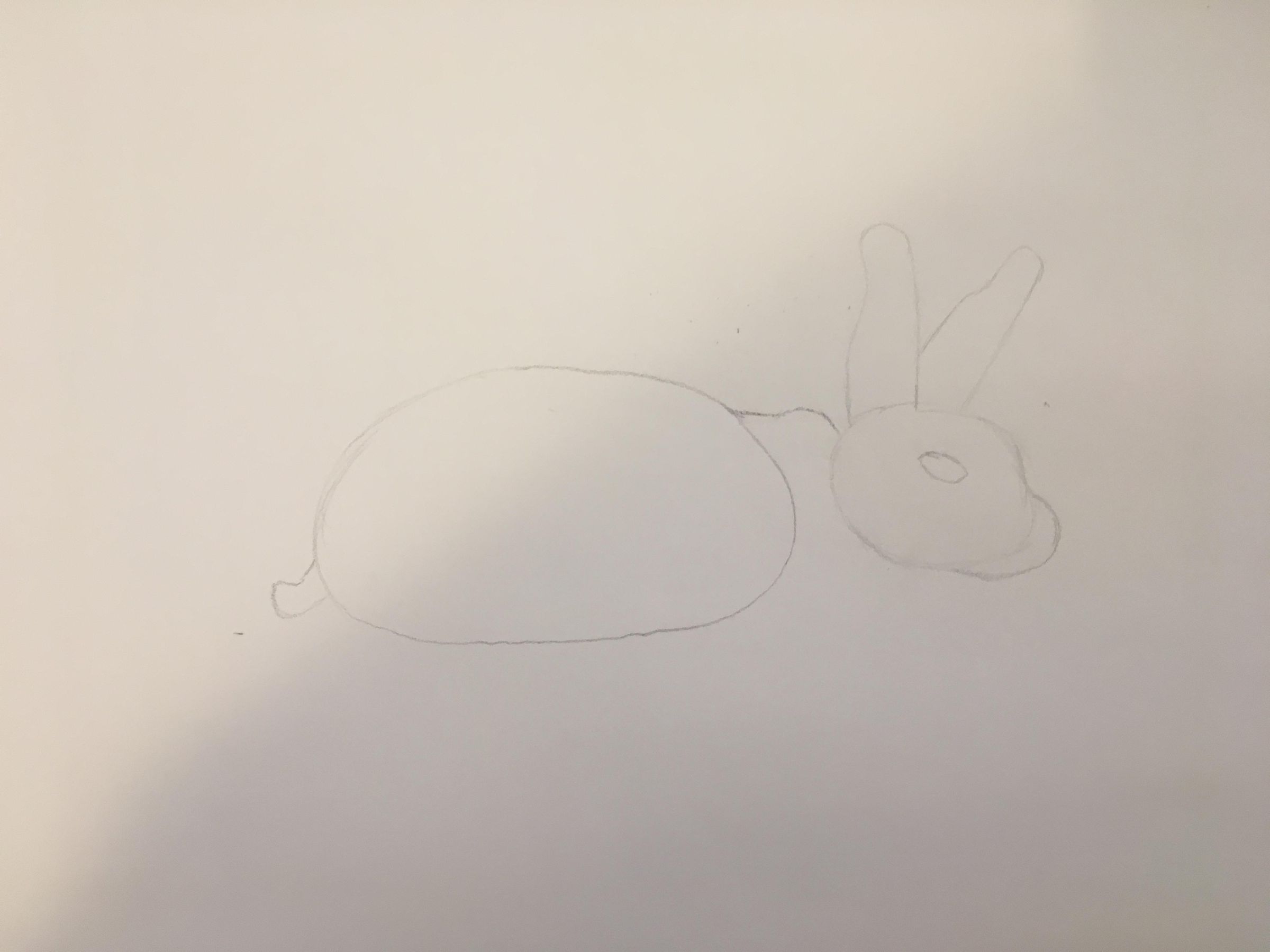 How to Draw a Realistic Bunny (standing) : 26 Steps - Instructables