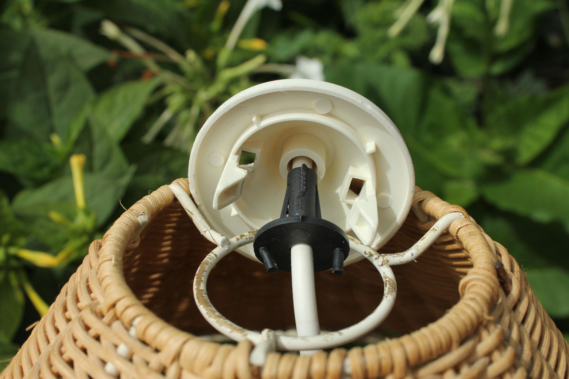 Lampshade to Planter Conversion : 6 Steps (with Pictures) - Instructables