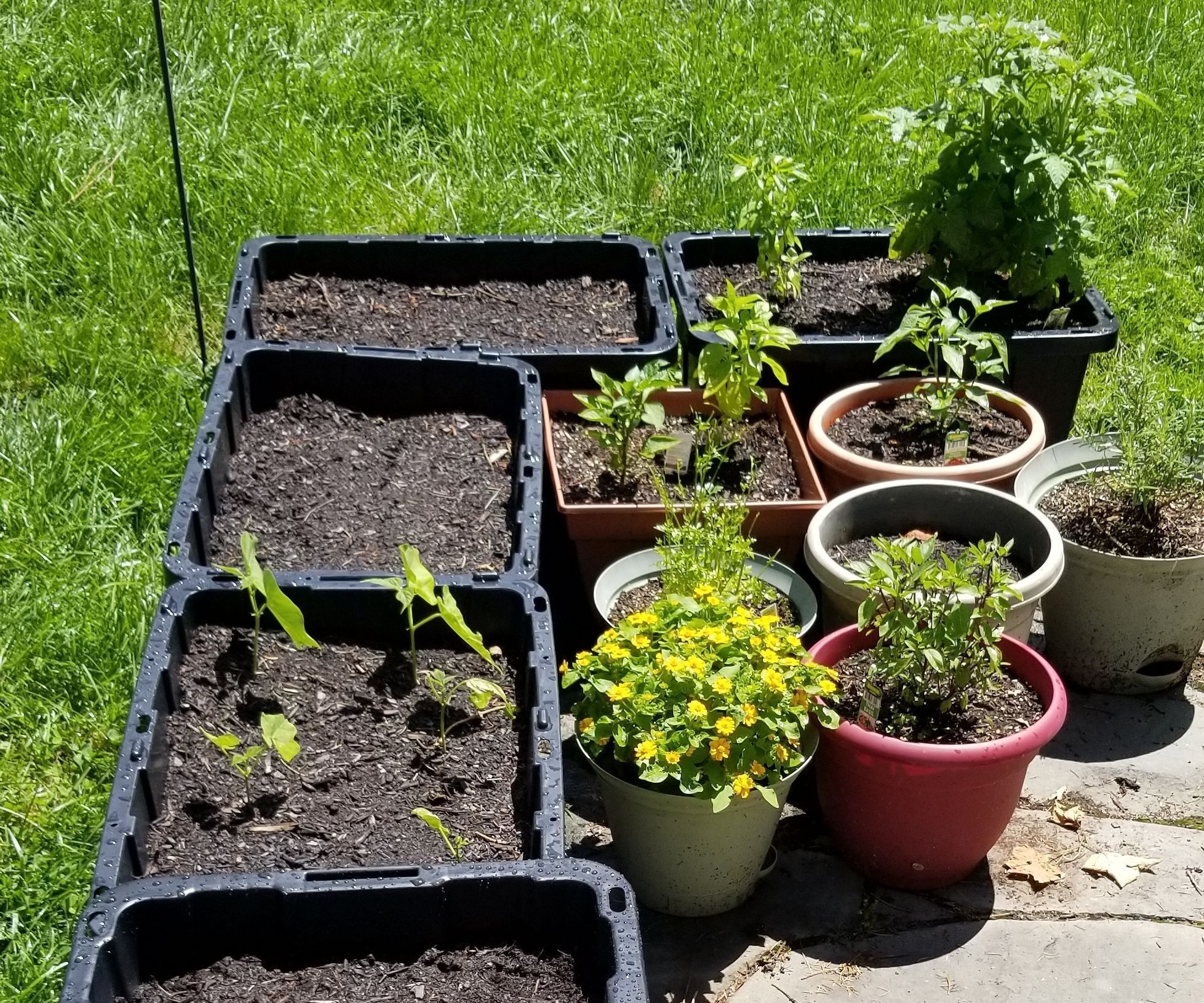 Easy Raised Garden Bed : 5 Steps - Instructables