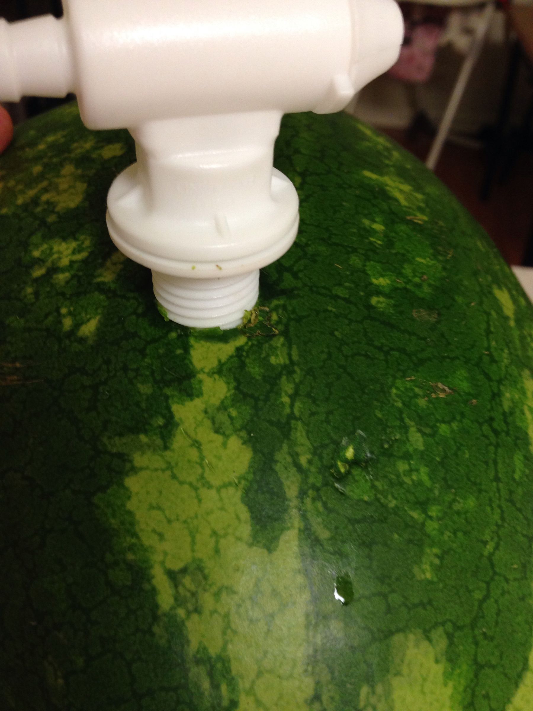 Watermelon Drink Dispenser/Keg : 7 Steps (with Pictures) - Instructables