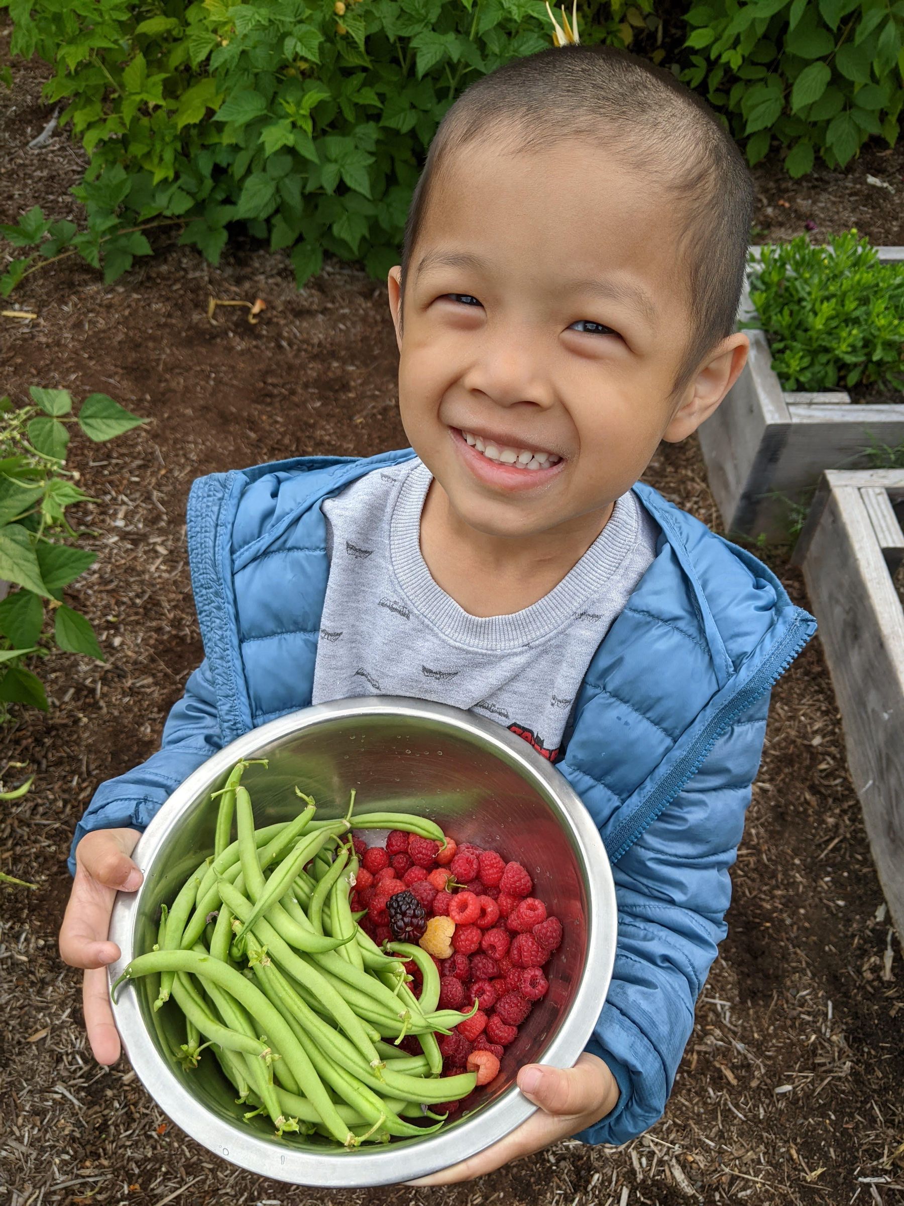 DIY: Transforming My Front Yard From Grass to a Vegetable Garden : 8 ...