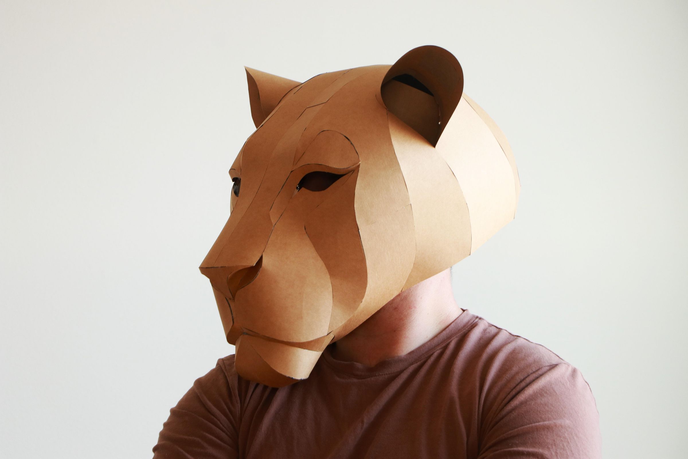 A Stylish Cardboard Lion Mask With Smooth Lines. Easy-to-follow ...