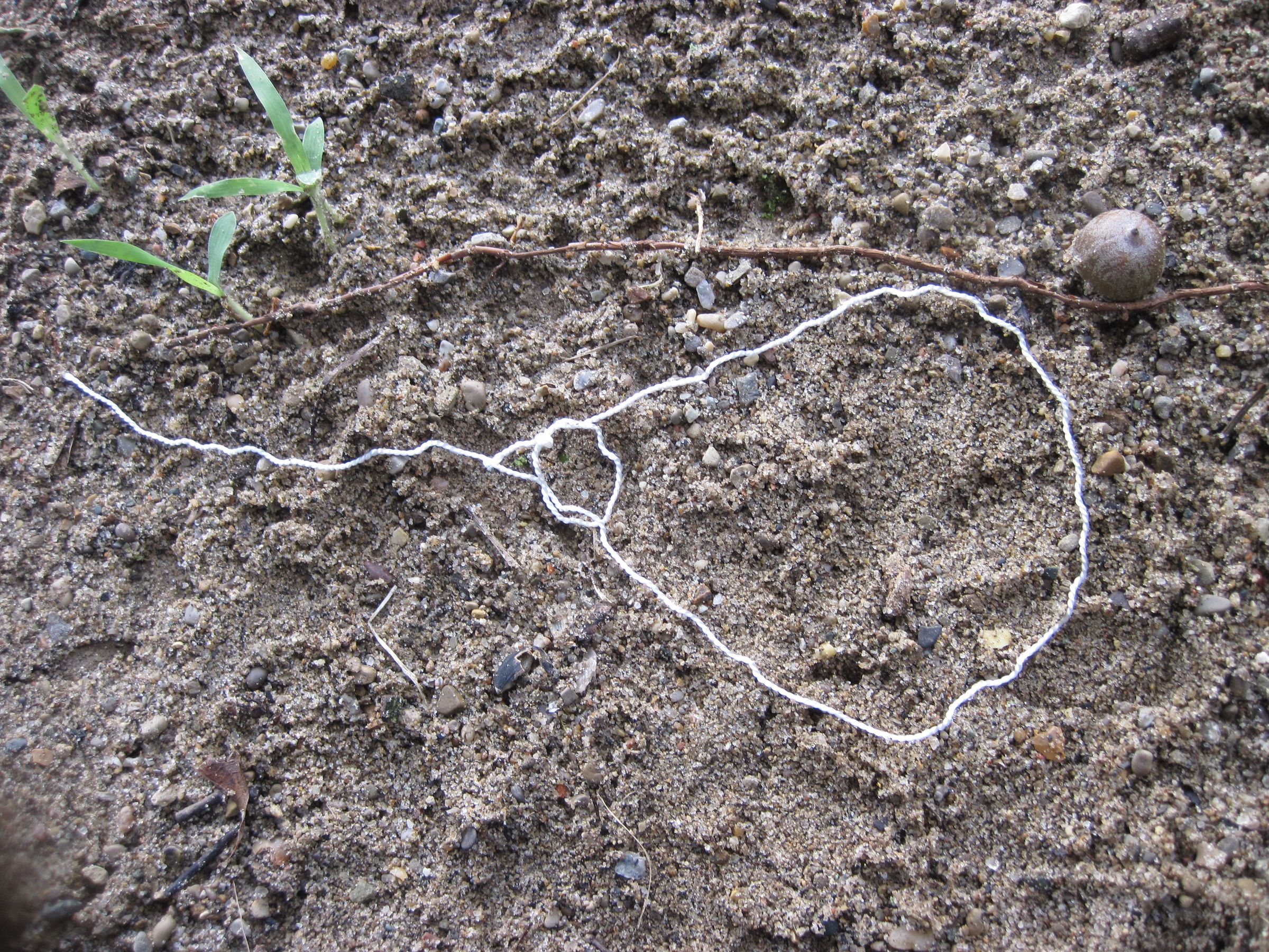 The Basic Paracord Survival Snare : 8 Steps (with Pictures) - Instructables