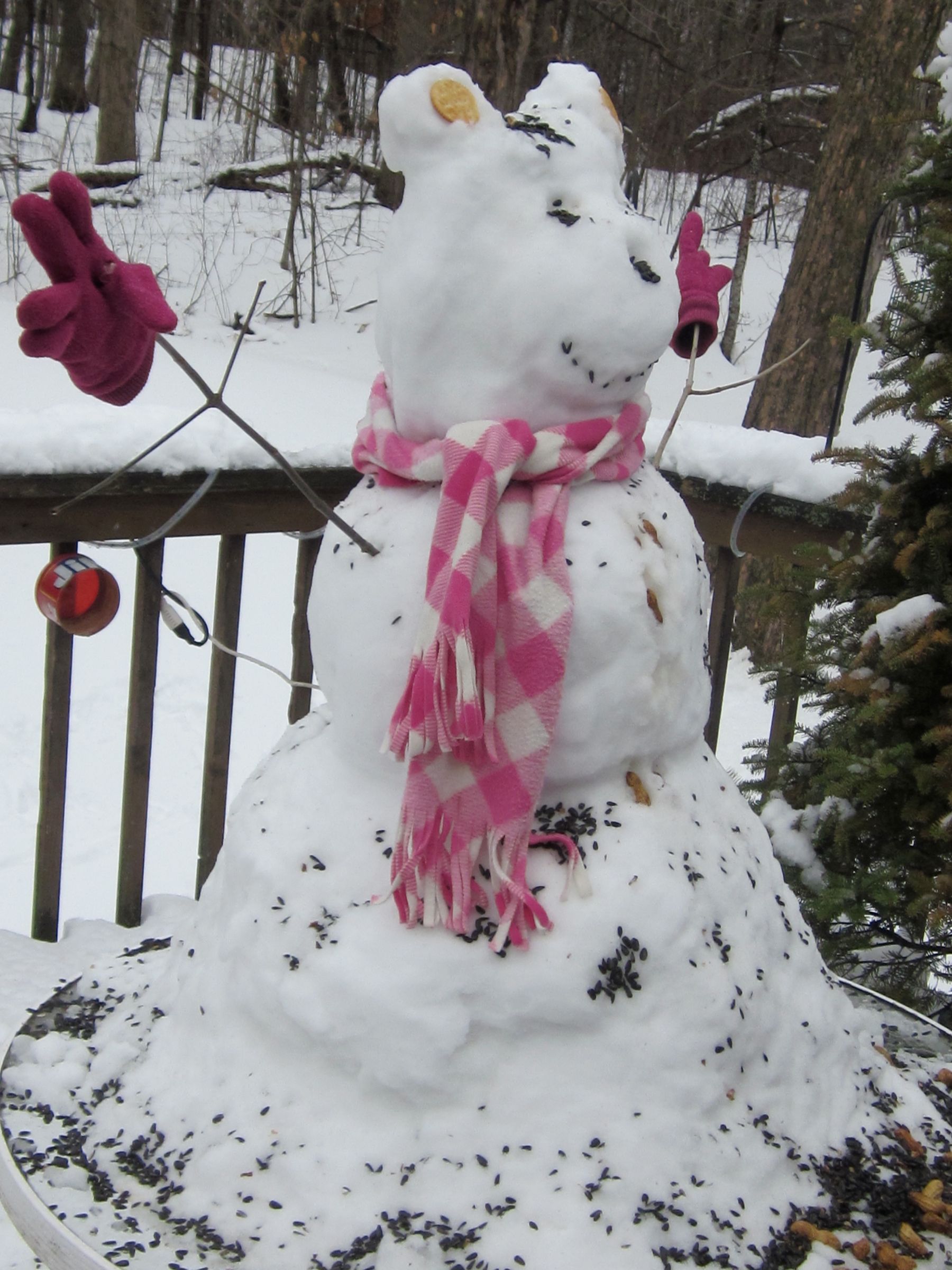 SnowBear - Instructables