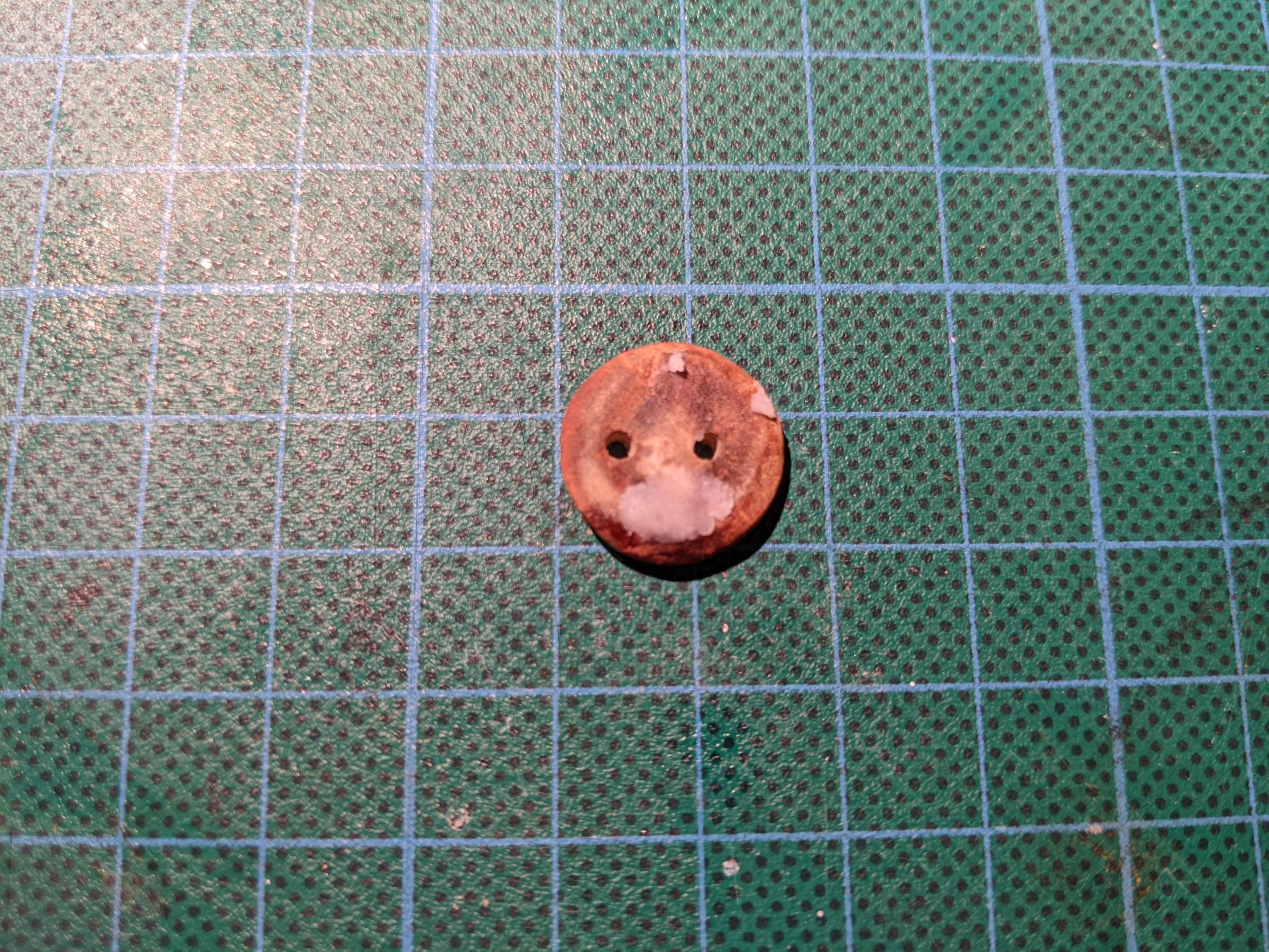 Buttons From Avocado Pits : 8 Steps (with Pictures) - Instructables