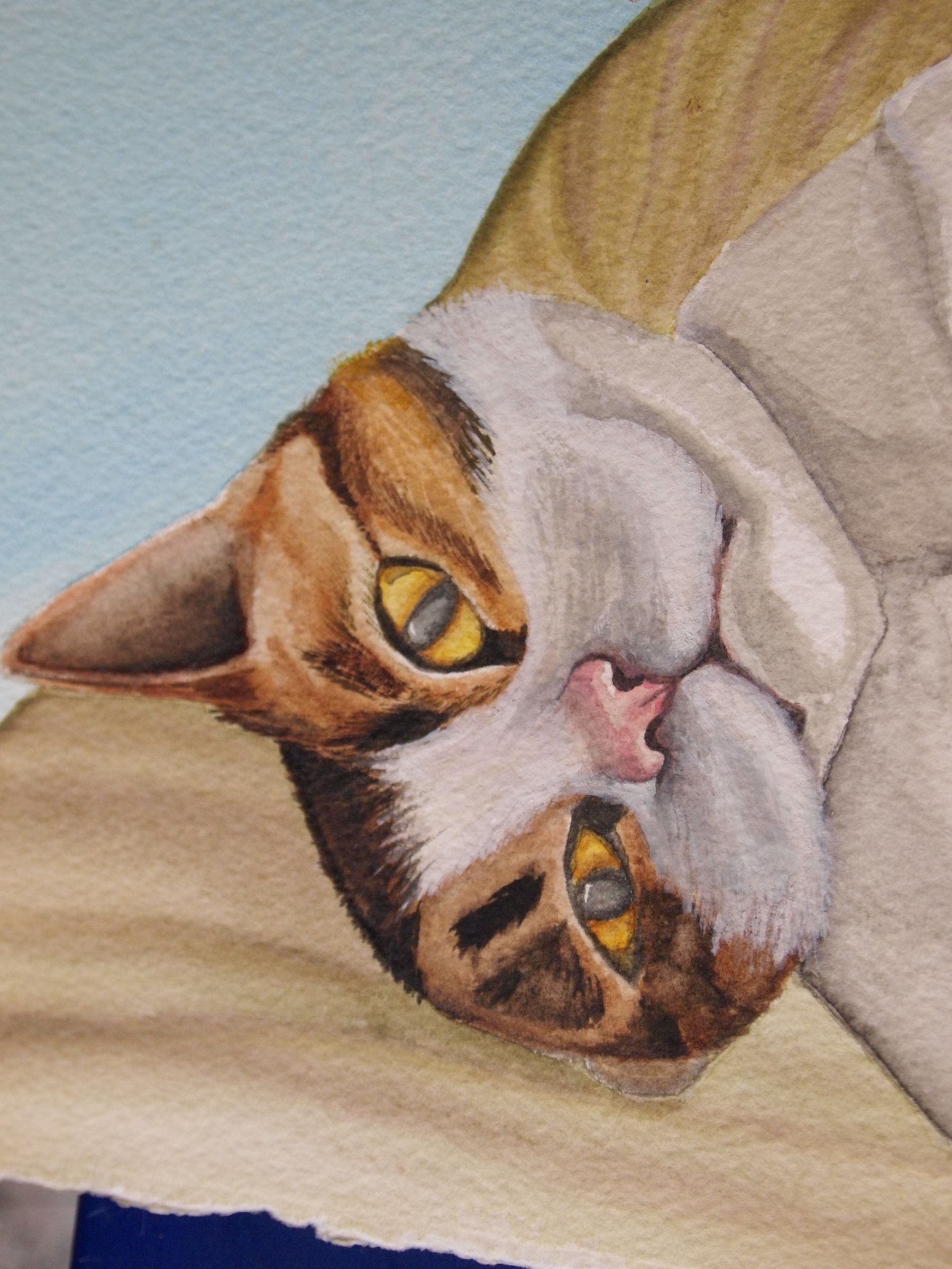 Watercolor Pet Portrait How-To : 7 Steps (with Pictures) - Instructables