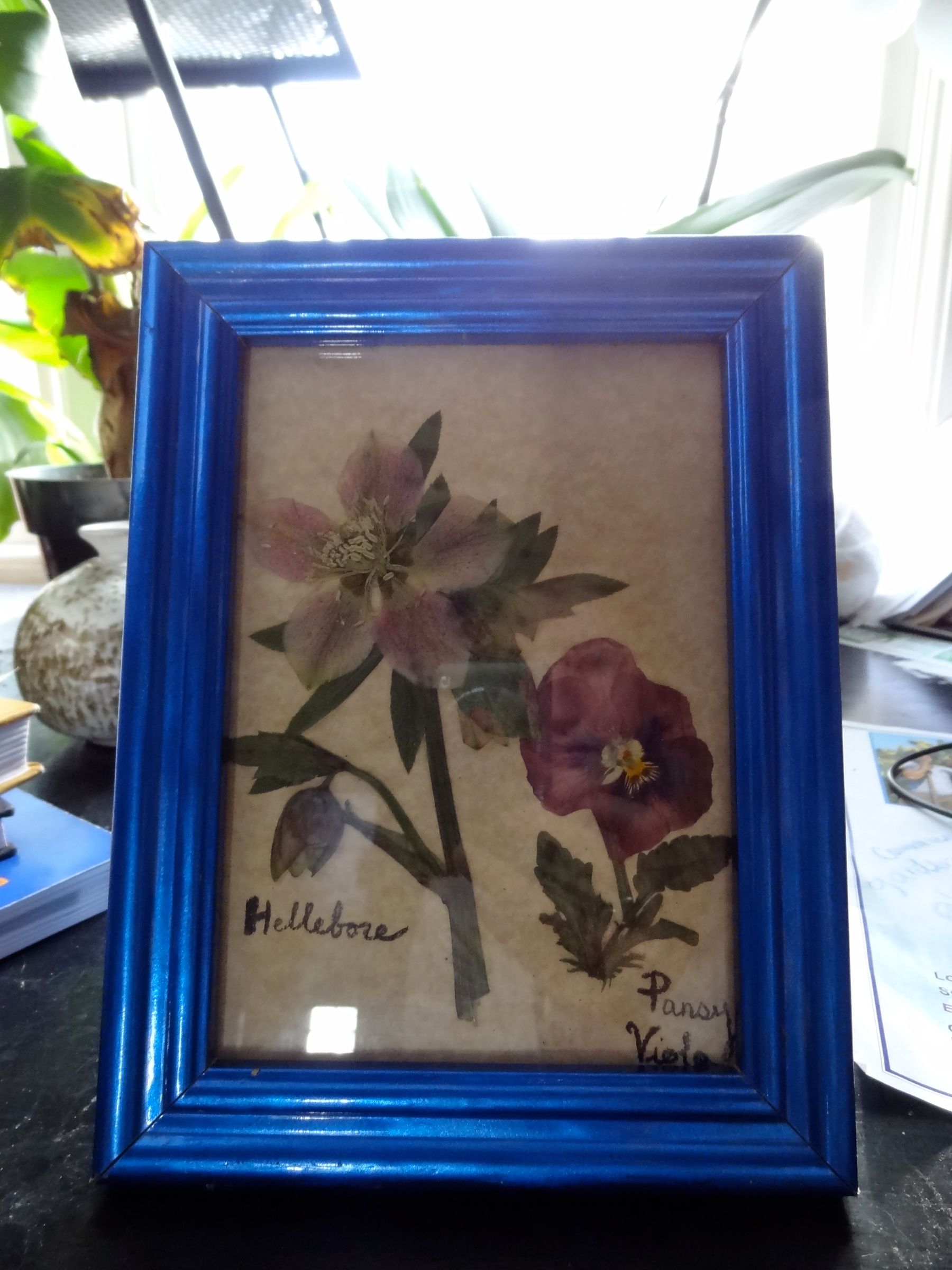 Framed Pressed Flowers *with Mod Podge : 4 Steps - Instructables