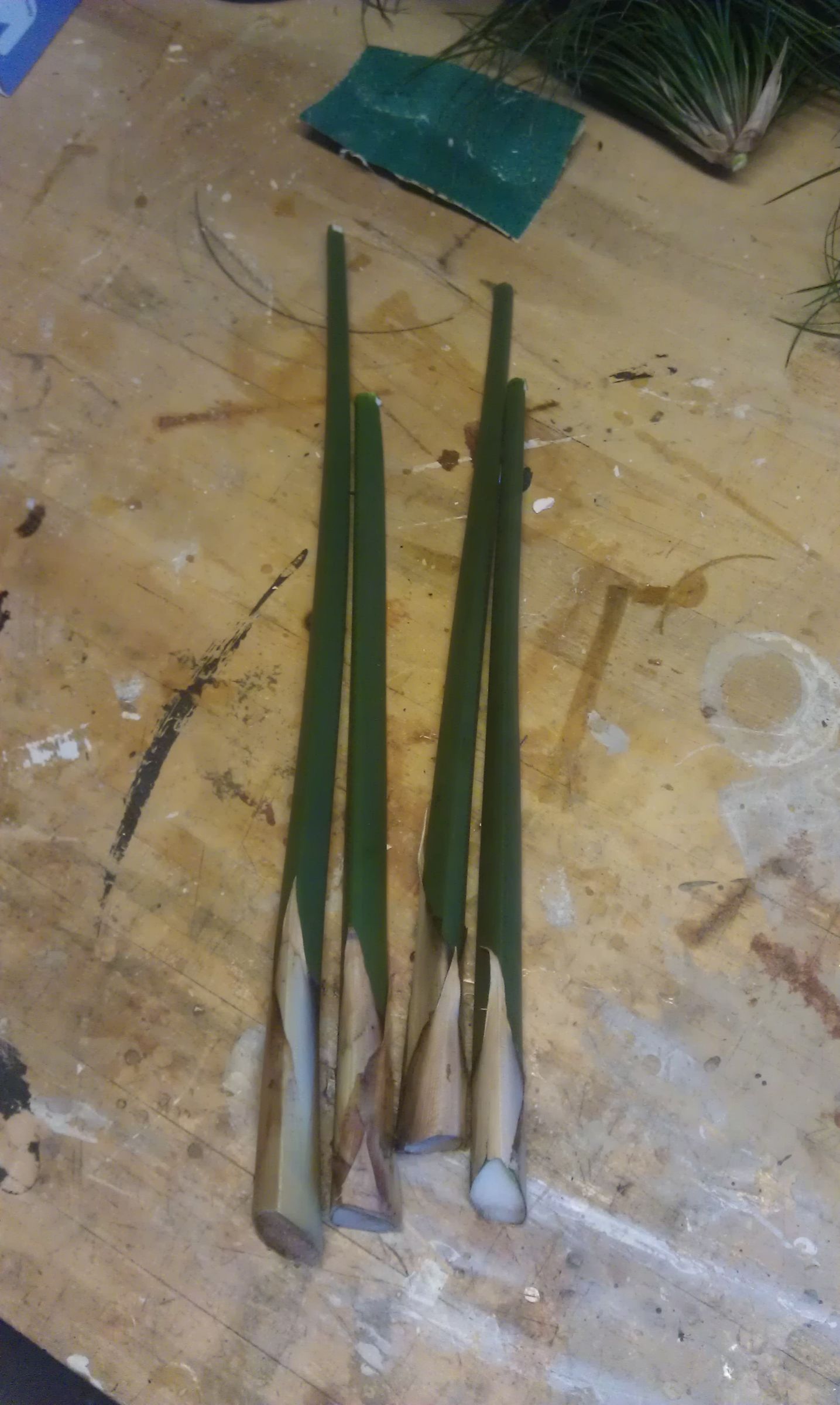 How to Make Papyrus Paper : 7 Steps (with Pictures) - Instructables