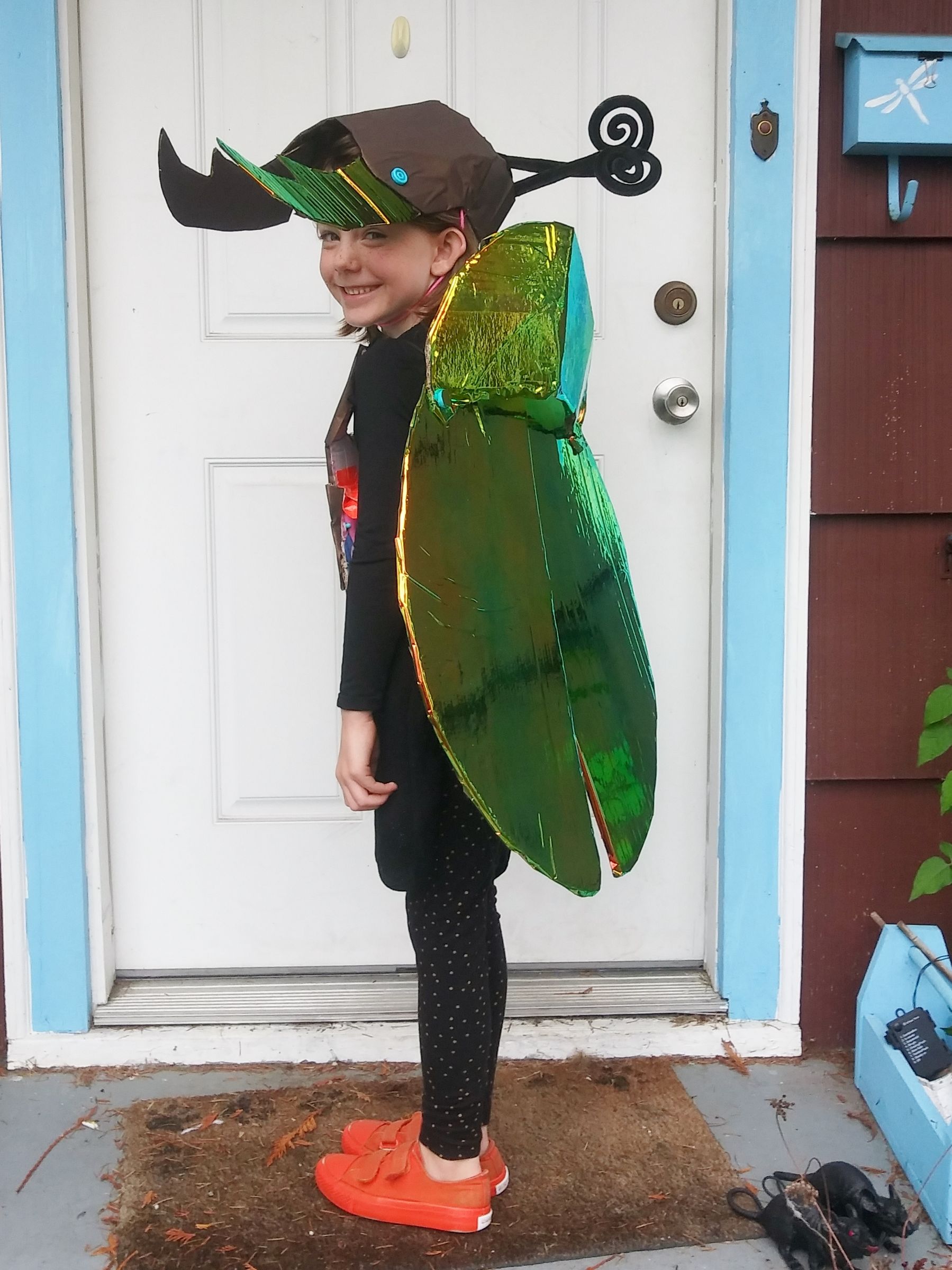 Cardboard Beetle Costume : 4 Steps (with Pictures) - Instructables
