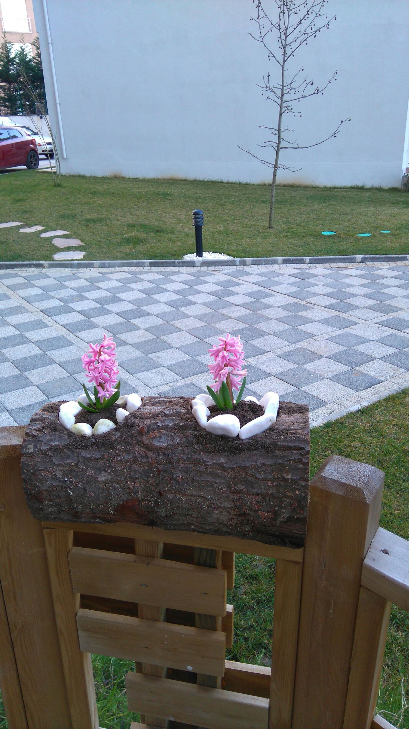 Log Flower Pot - Instructables
