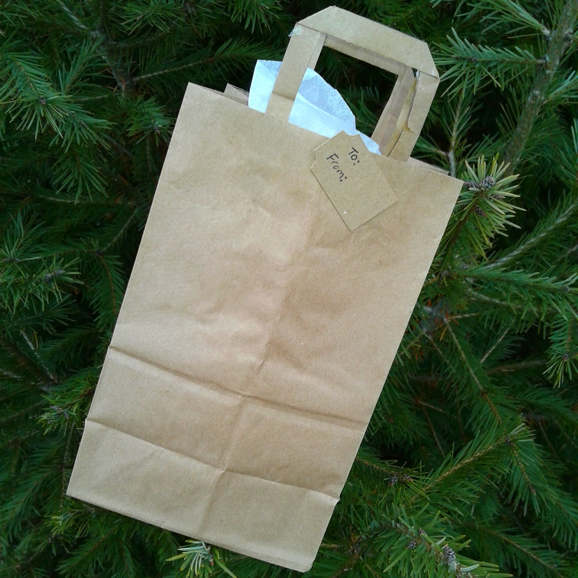 Paper Lunch Bag Decorated