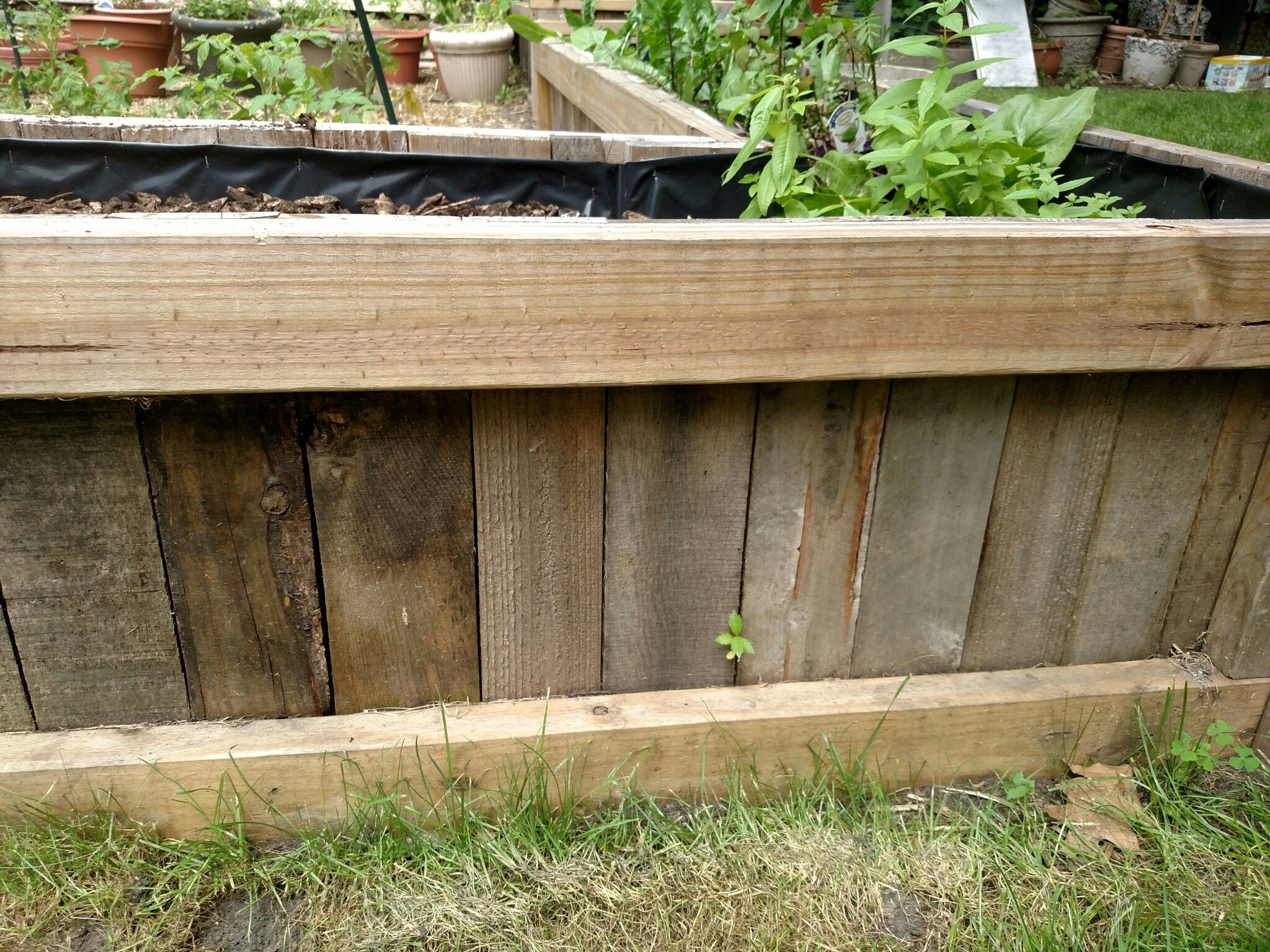 Outdoor Pallet Garden : 10 Steps (with Pictures) - Instructables