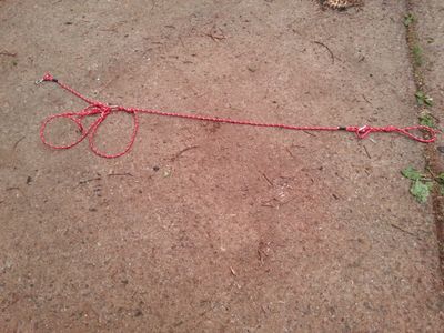 Rope Expandable Leash : 4 Steps - Instructables