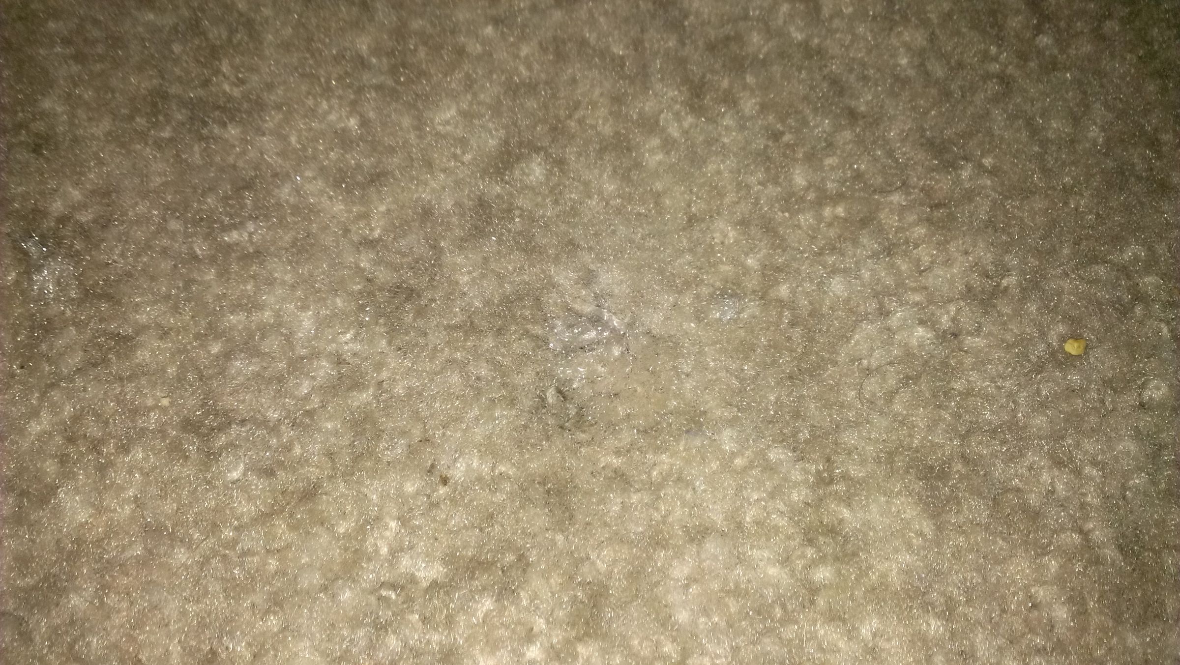 Making Small Stains / Burns / Holes in Carpet As If They Never Happened ...
